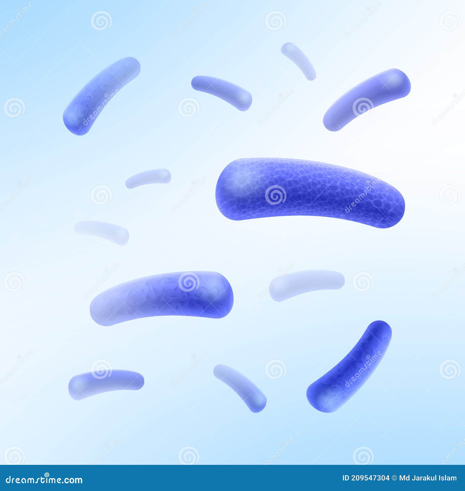 Rod-shaped Bacilli Bacteria Stock Vector - Illustration of analysis ...