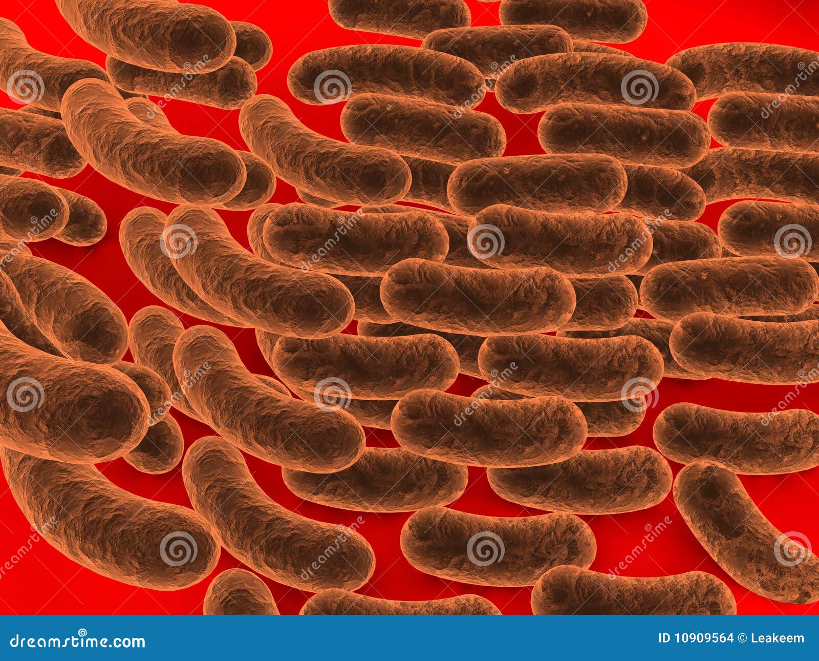 Box-shaped Bacteria. Bacteria Classification. Irregular Shapes Of ... Box-shaped Bacteria. Bacteria Classification. Irregular Shapes Of ...
