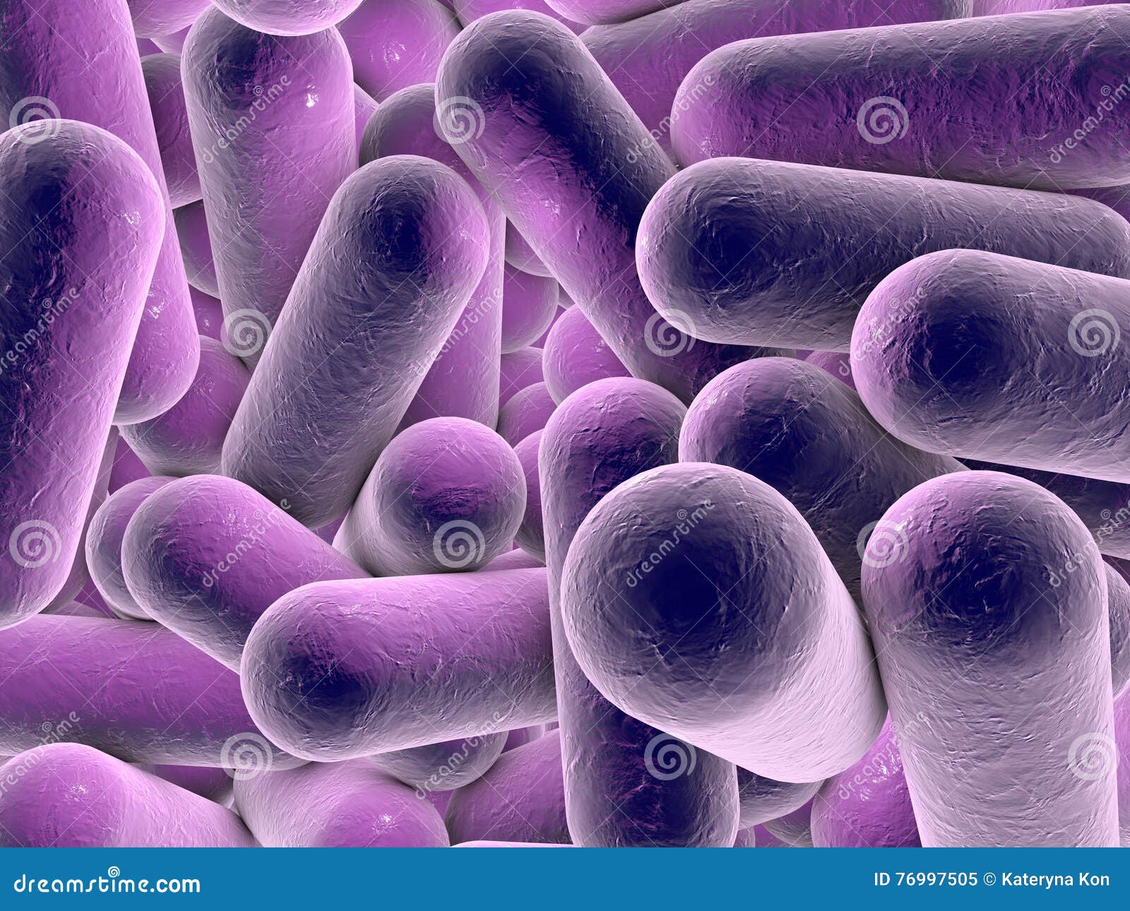 Rod shaped bacteria stock illustration. Illustration of rodshaped ...