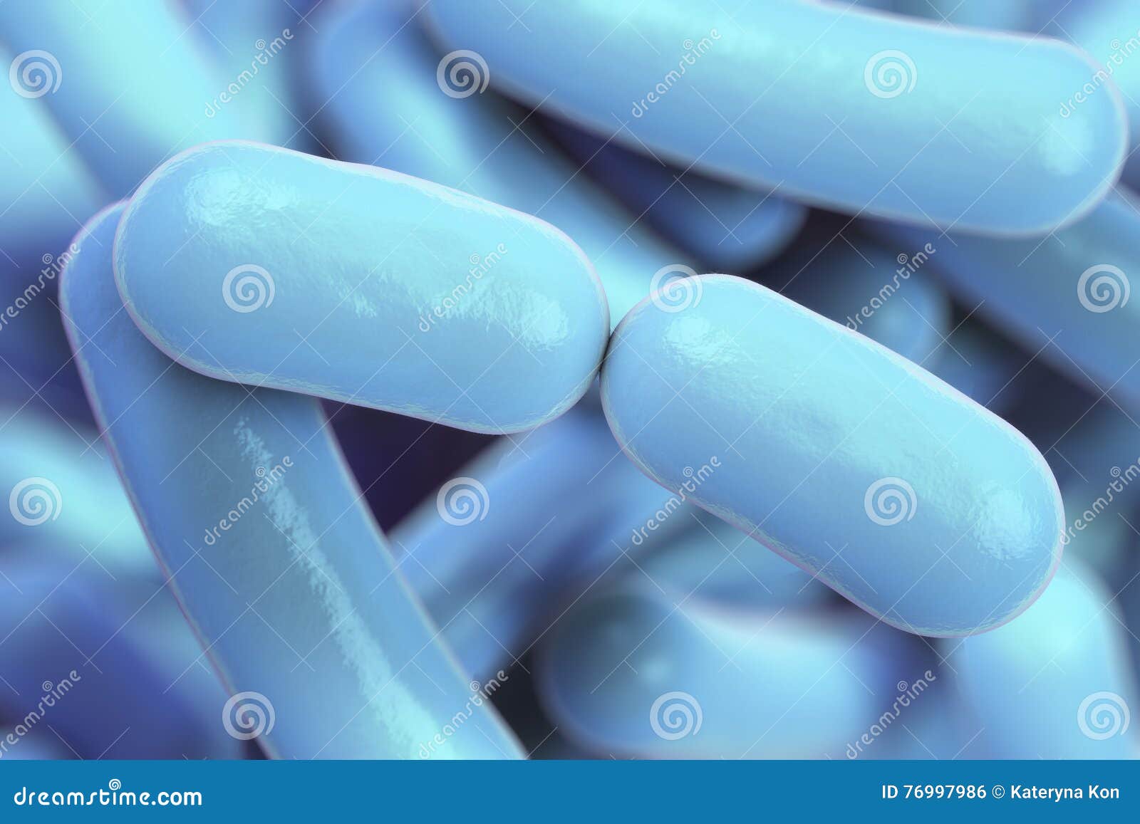 Rod shaped bacteria stock illustration. Illustration of lactic - 76997986