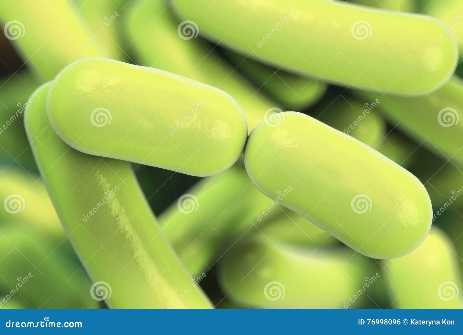 Rod shaped bacteria stock illustration. Illustration of klebsiella ...