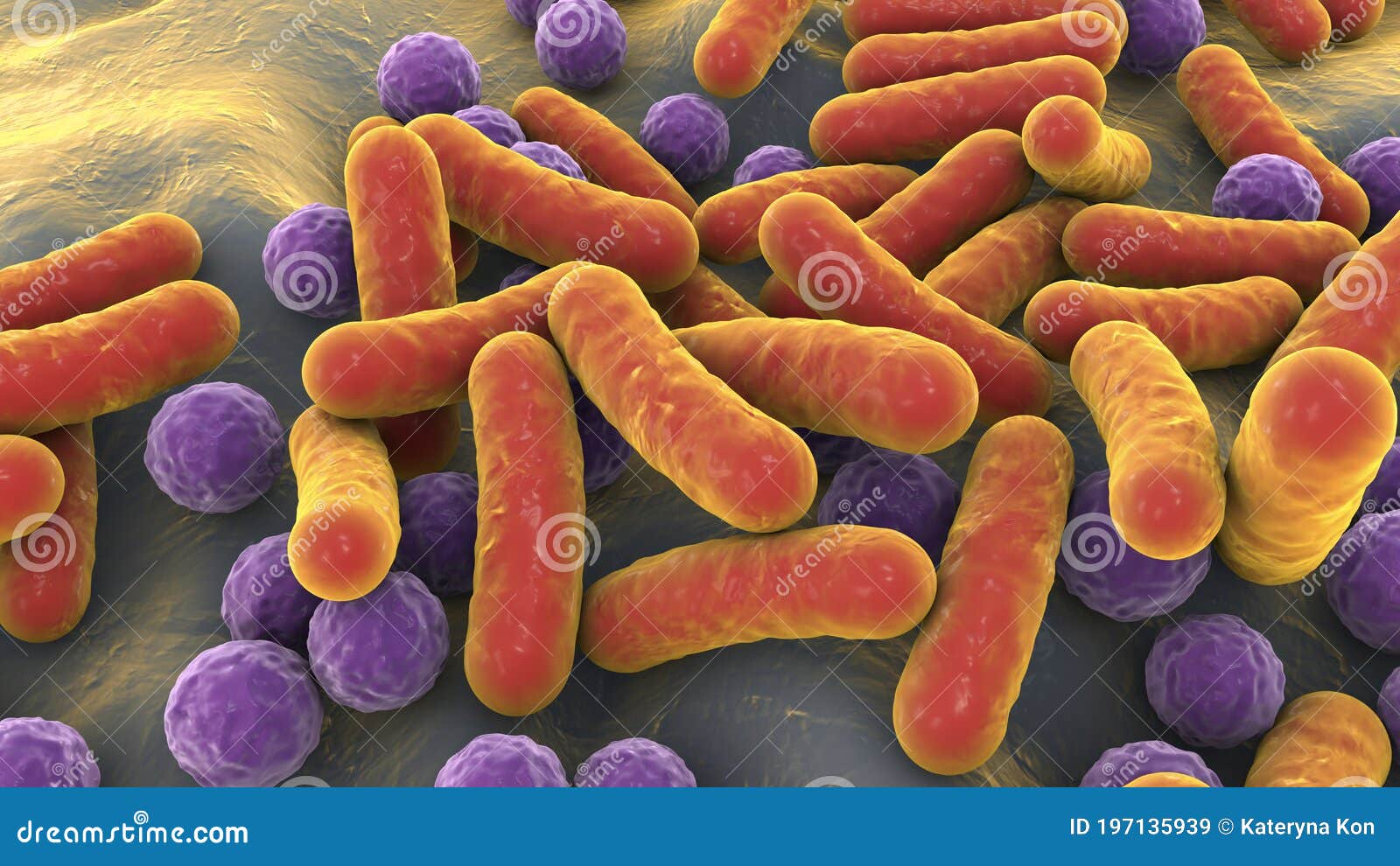 Bacteria, human microbiome stock illustration. Illustration of ...