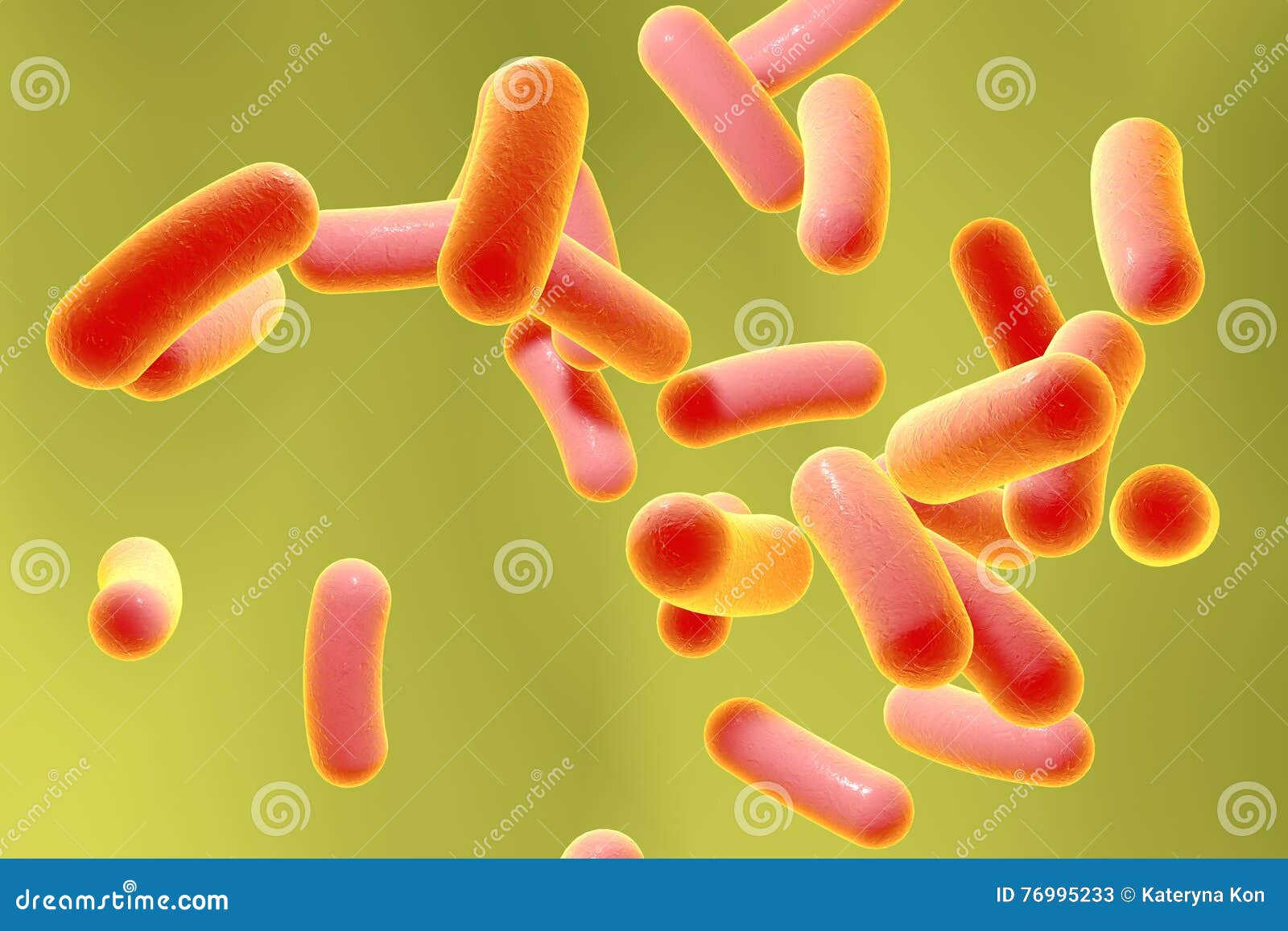 Rod shaped bacteria stock illustration. Illustration of cells - 76995233