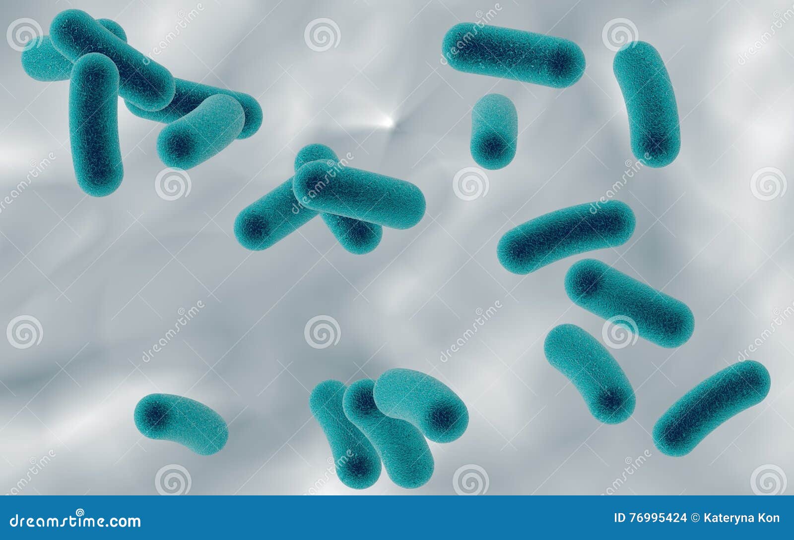 Rod shaped bacteria stock illustration. Illustration of human - 76995424