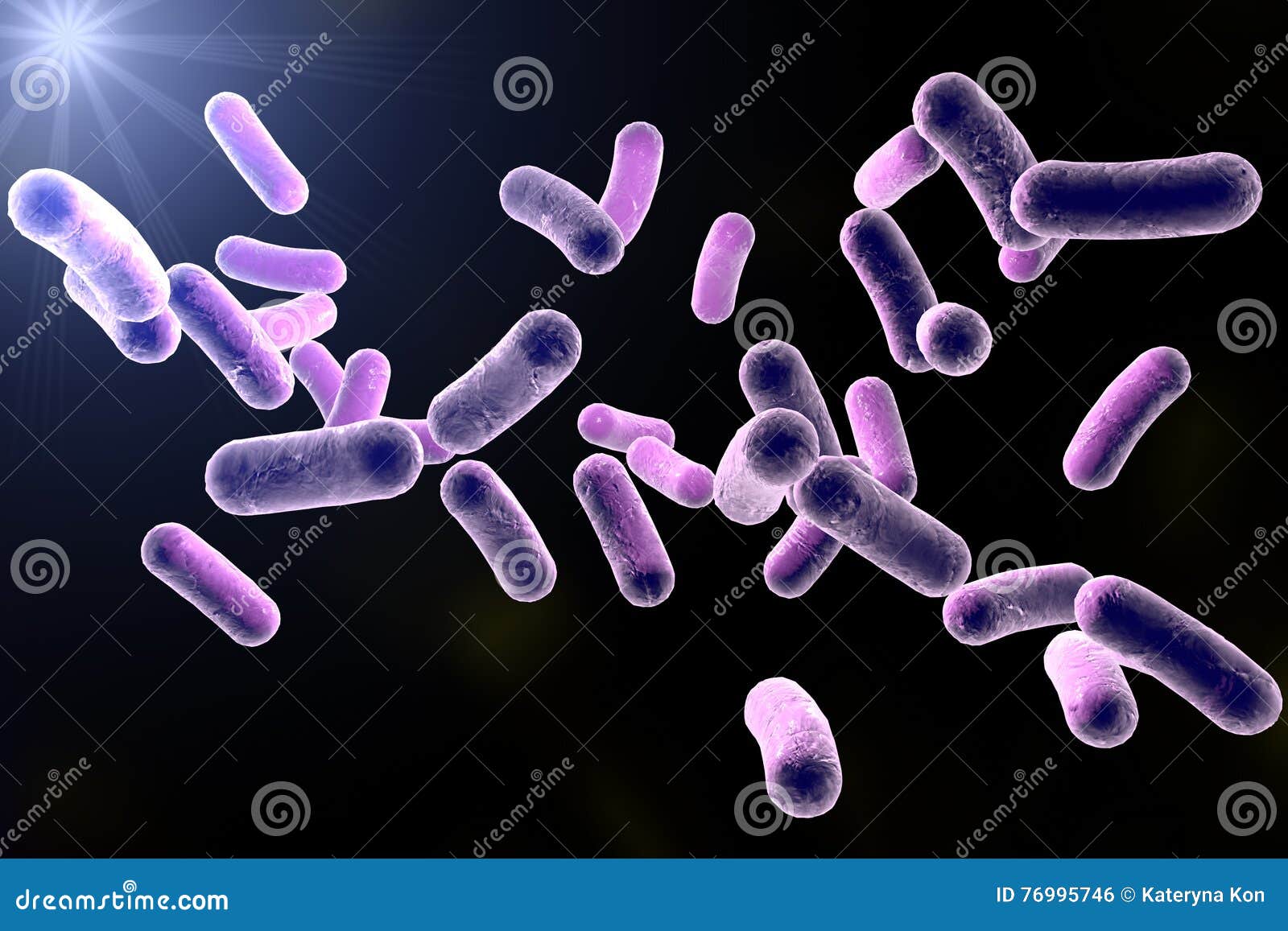 Rod shaped bacteria stock illustration. Illustration of cells - 76995746