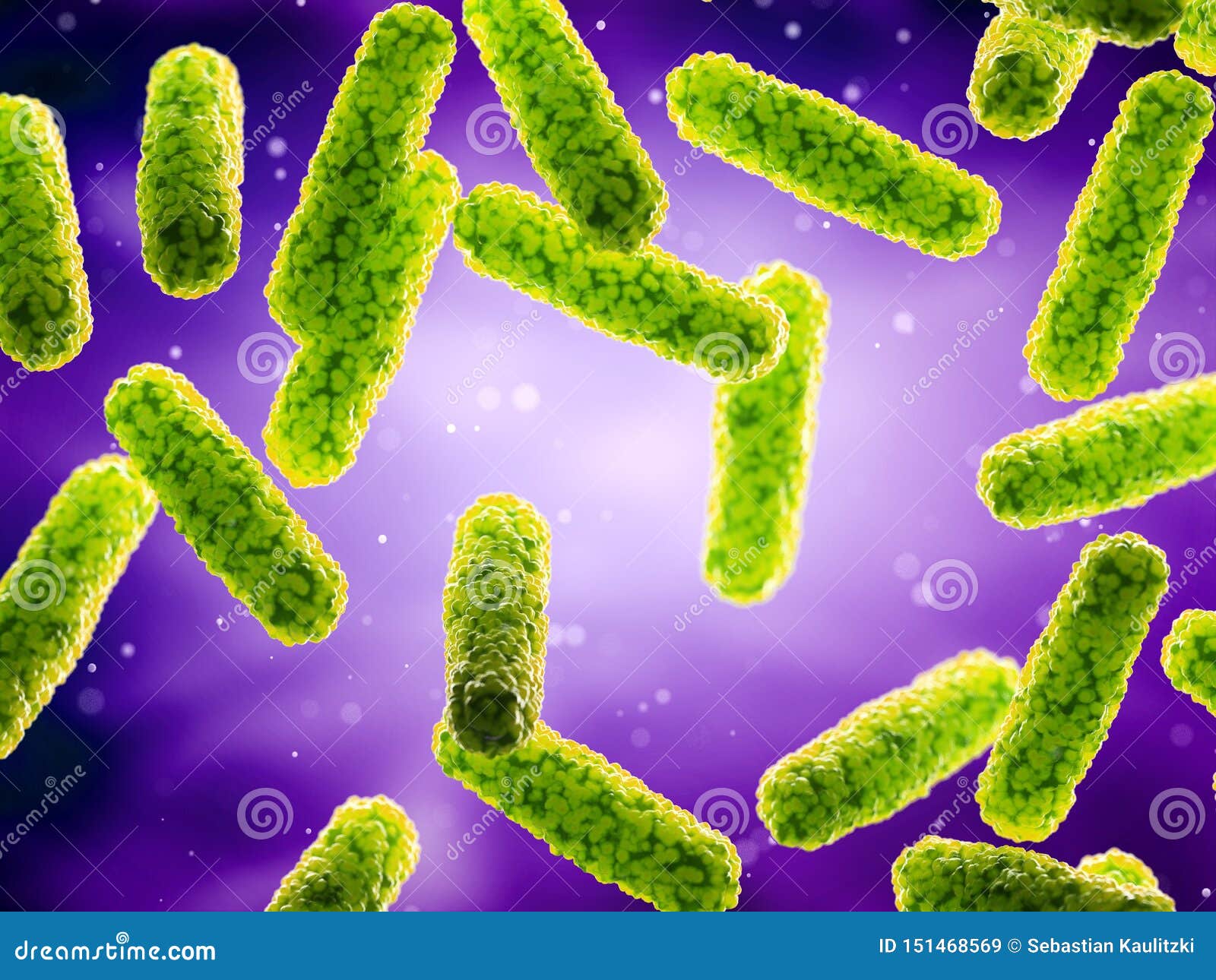 Rod Shaped Bacteria Stock Illustration | CartoonDealer.com #76995898