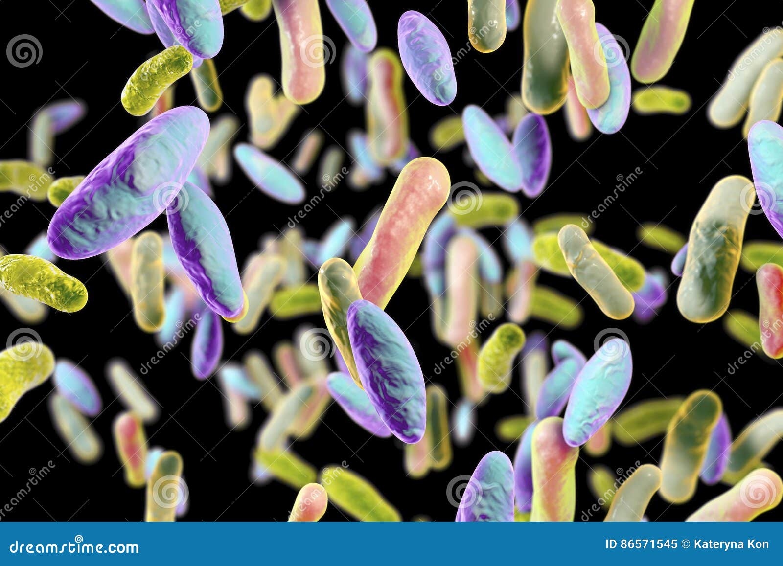 Rod-shaped Bacteria, Illustration Stock Illustration - Illustration of ...