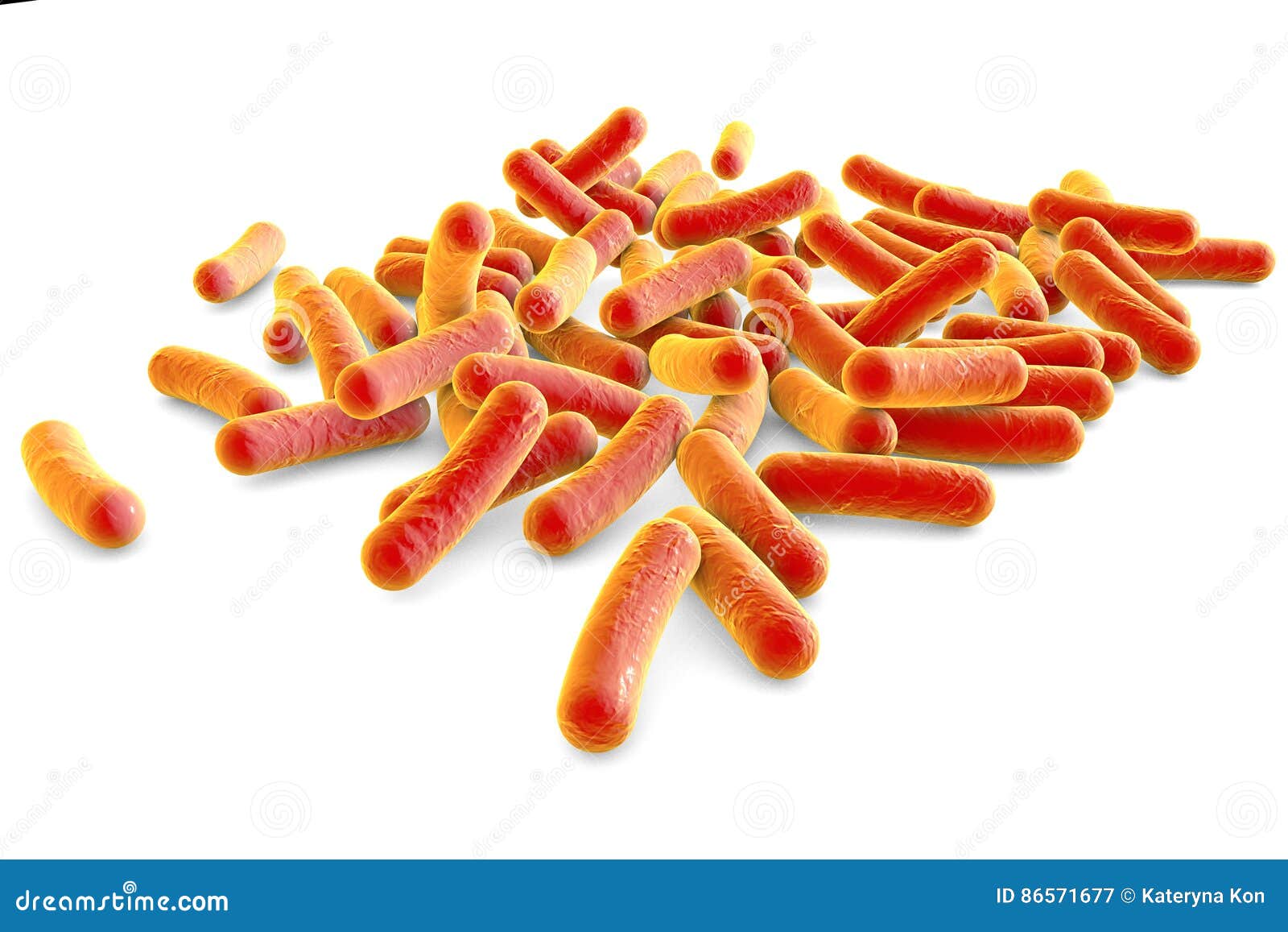 Rod-shaped Bacteria Illustration Stock Illustration - Illustration of ...