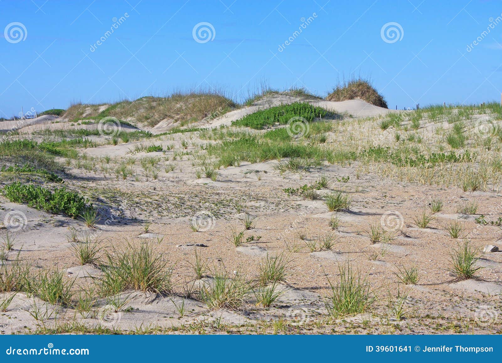 Rodanthe Beach stock image. Image of lonely, ocean, carolina - 39601641
