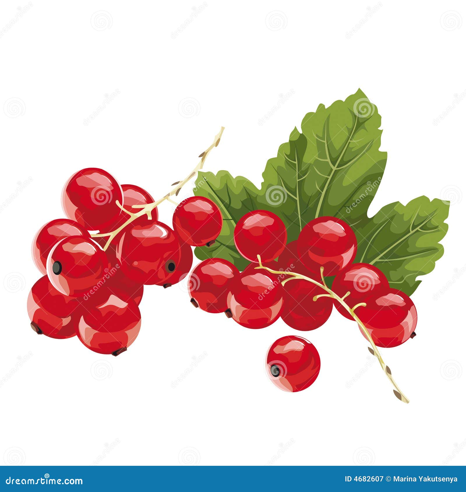 Rode Bes Stock Illustrations, Vectors, & Clipart – (5,213 Stock ...