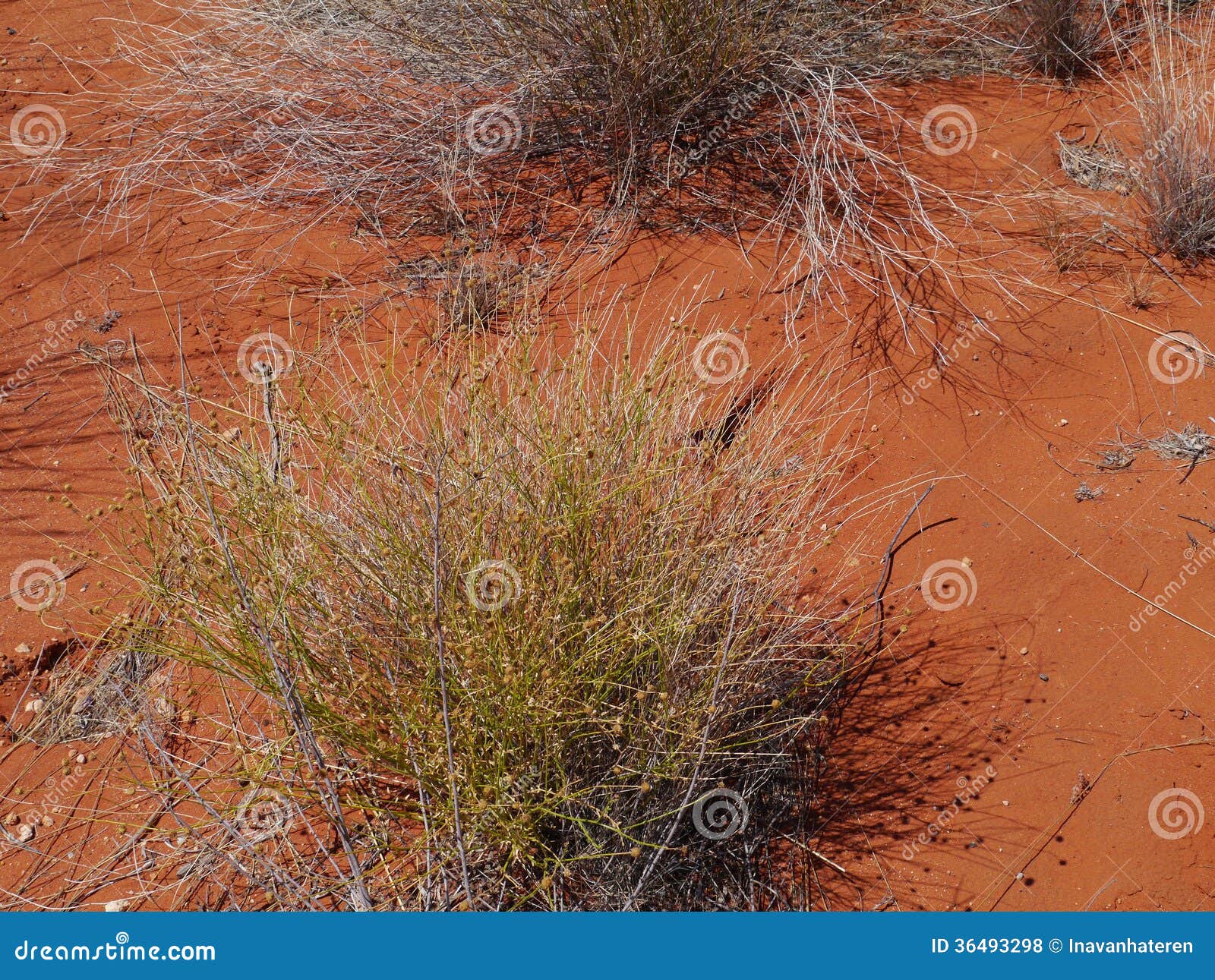 Rode Aarde Op Het Noordelijke Grondgebied Stock Foto - Image of kleur ...