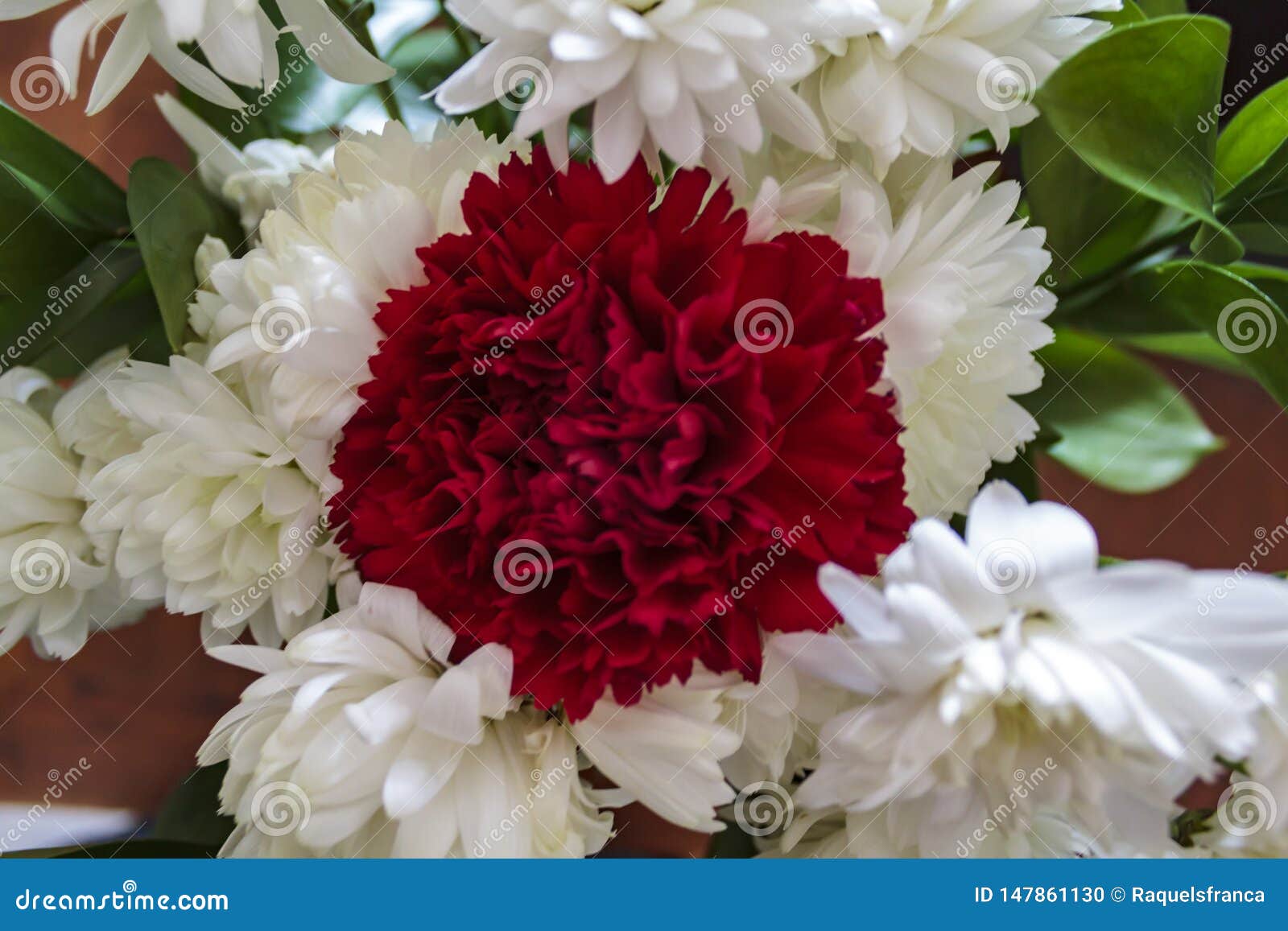 Rode Anjer Onder Witte Bloemen Stock Foto - Image of decoratief ...