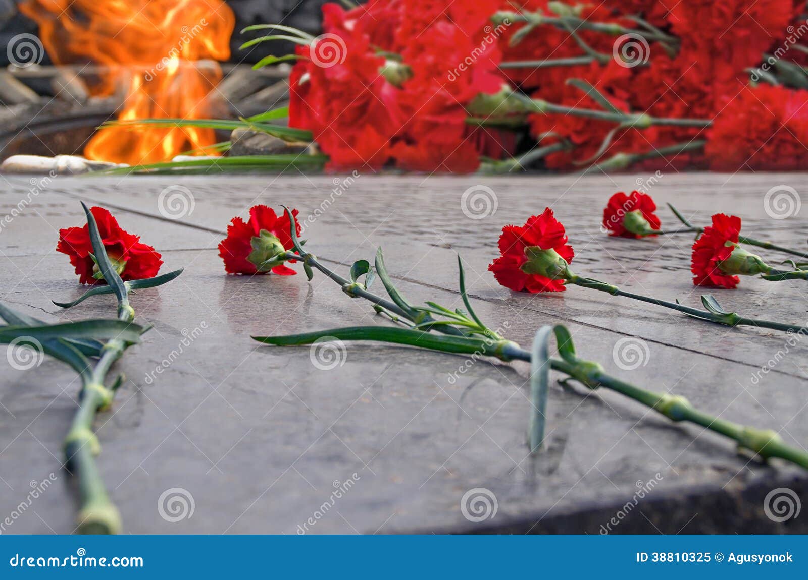 Rode Anjers En Eeuwige Vlam Stock Afbeelding - Image of geheugen ...