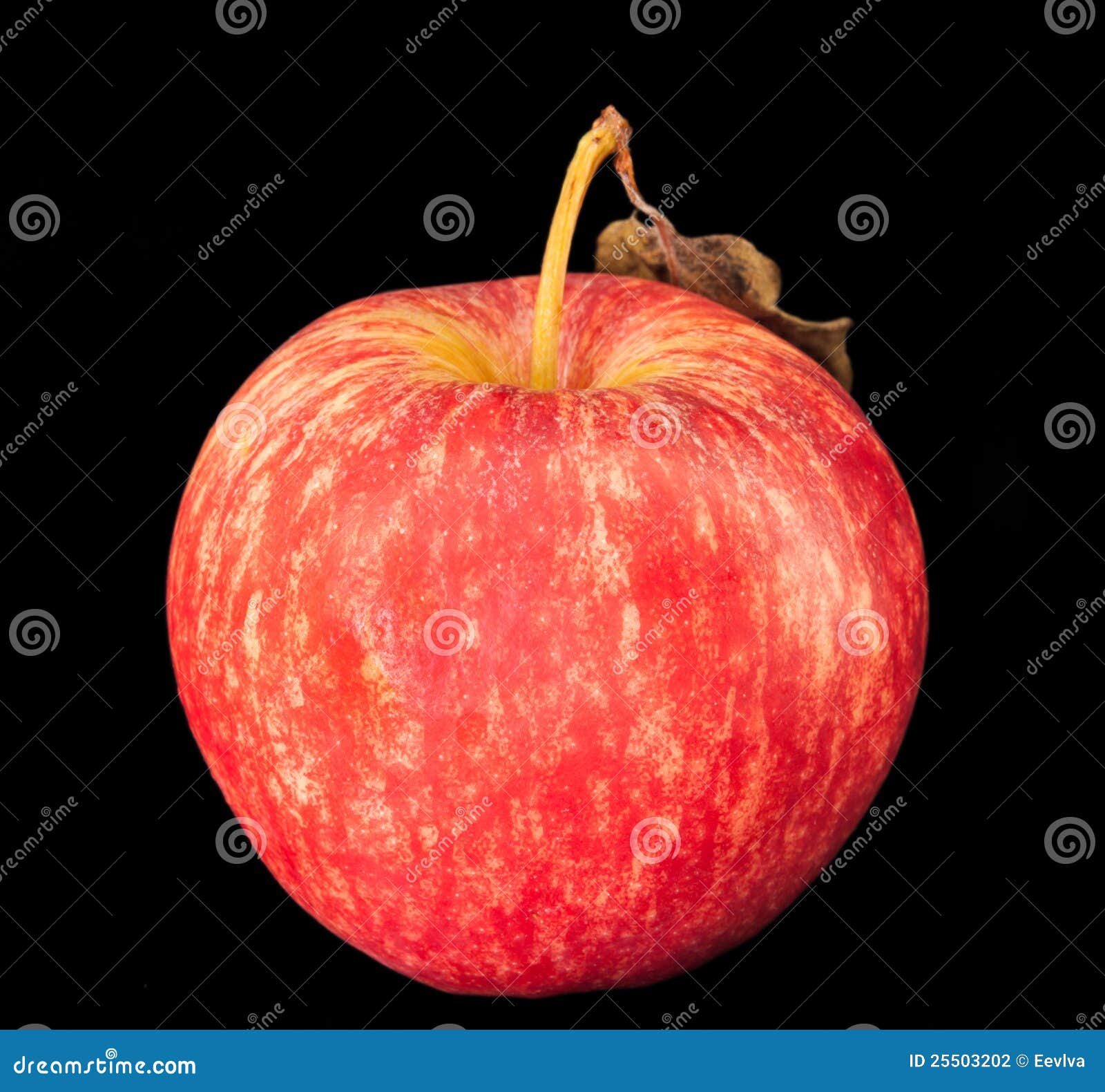 Rode appel. stock foto. Image of rood, smakelijk, vrucht - 25503202