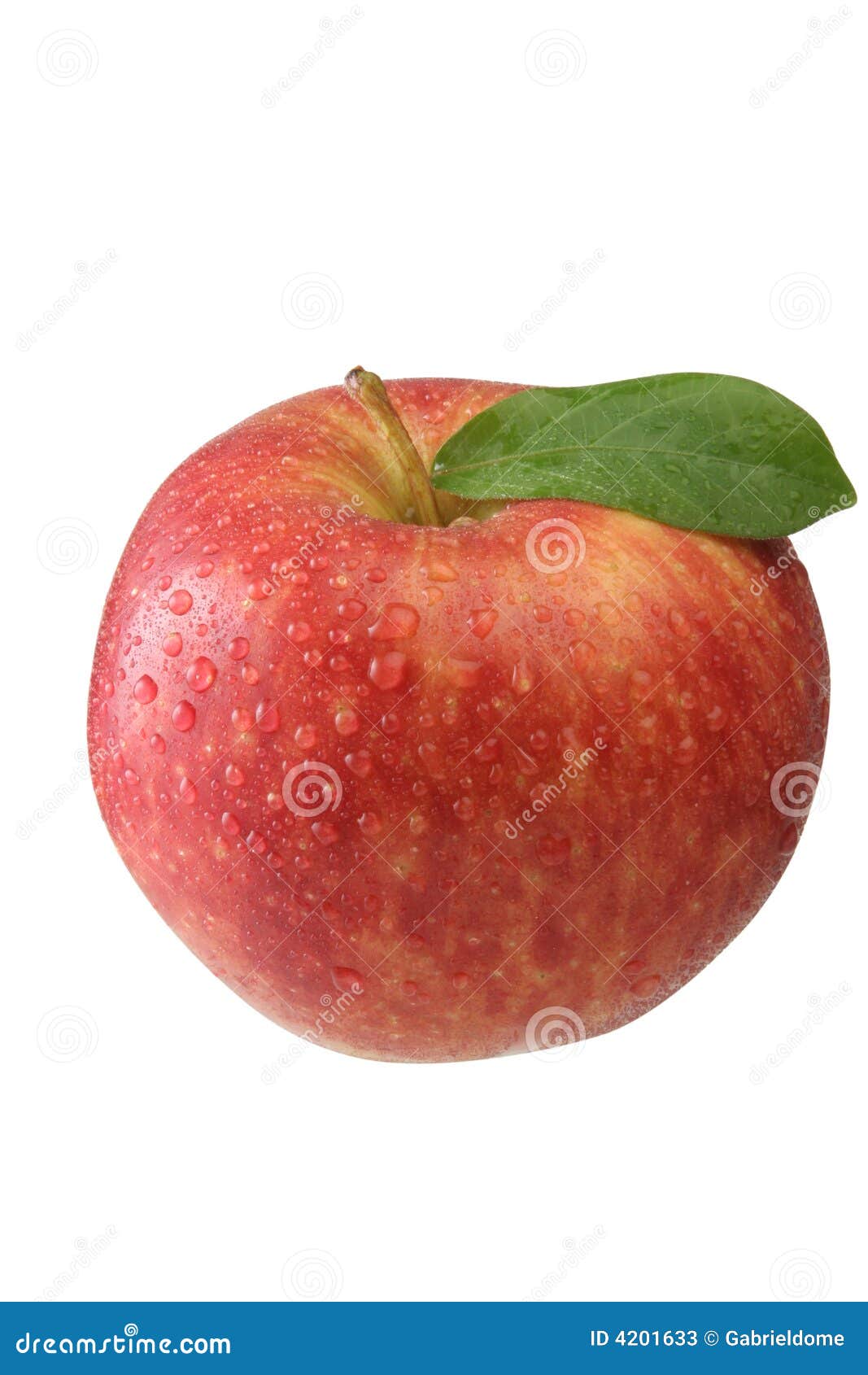 Rode Appel stock afbeelding. Image of dieet, vrucht, bladeren - 4201633
