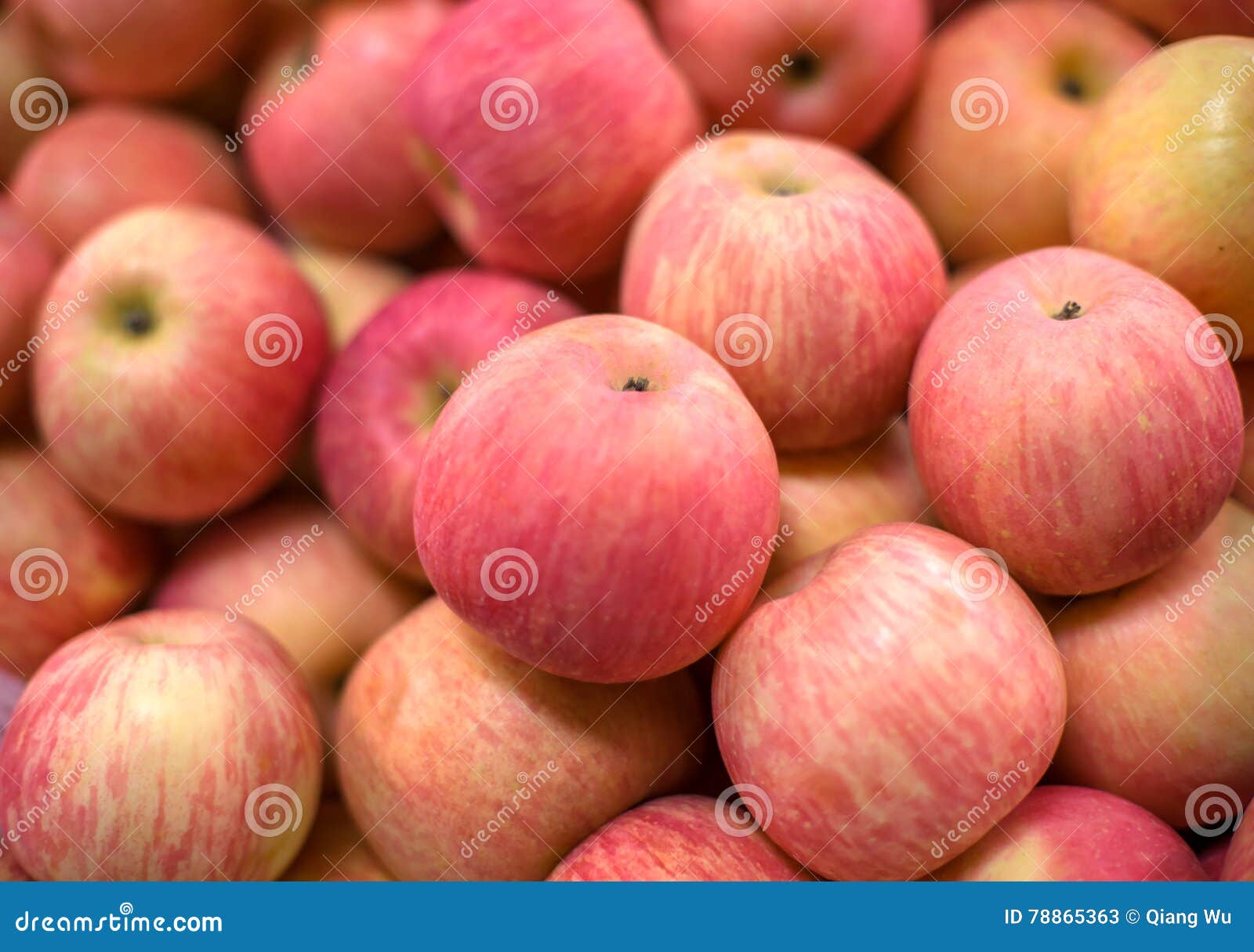 Rode Appel Fuji stock afbeelding. Image of daling, achtergrond - 78865363