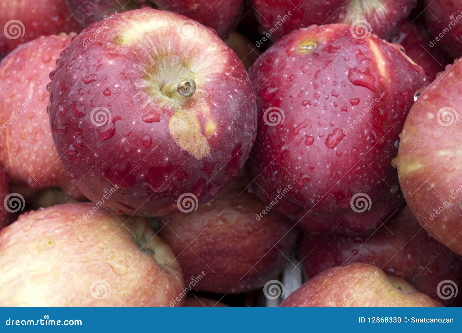 Rode Appelen stock foto. Image of rood, appel, water - 12868330