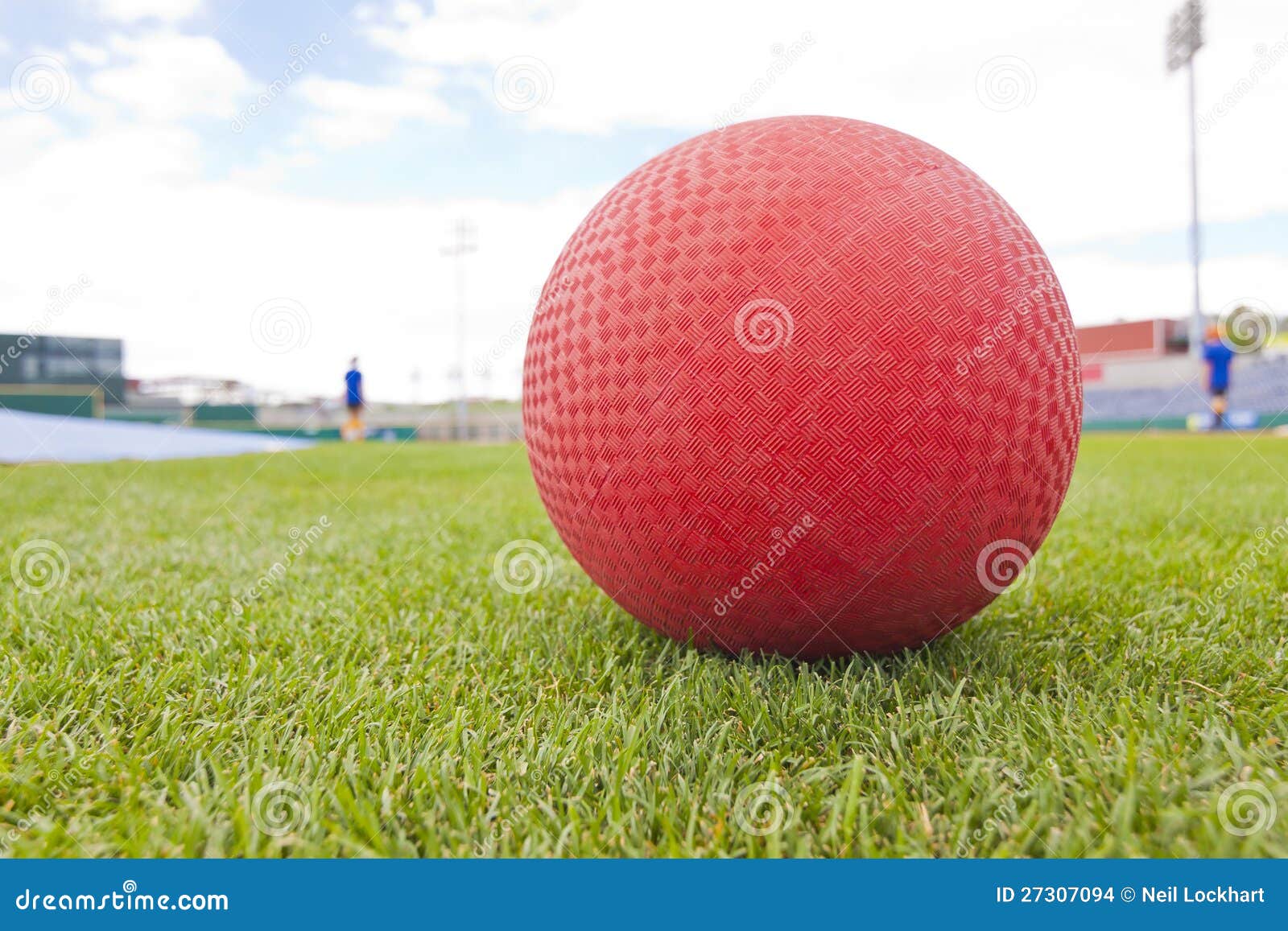 Rode Bal op Gebied stock foto. Image of gebied, gras - 27307094