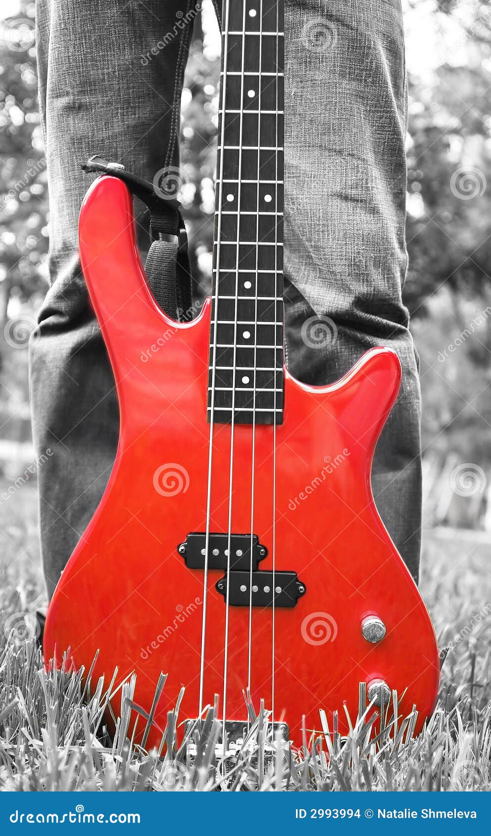 Rode basgitaar op het gras stock foto. Image of overleg - 2993994