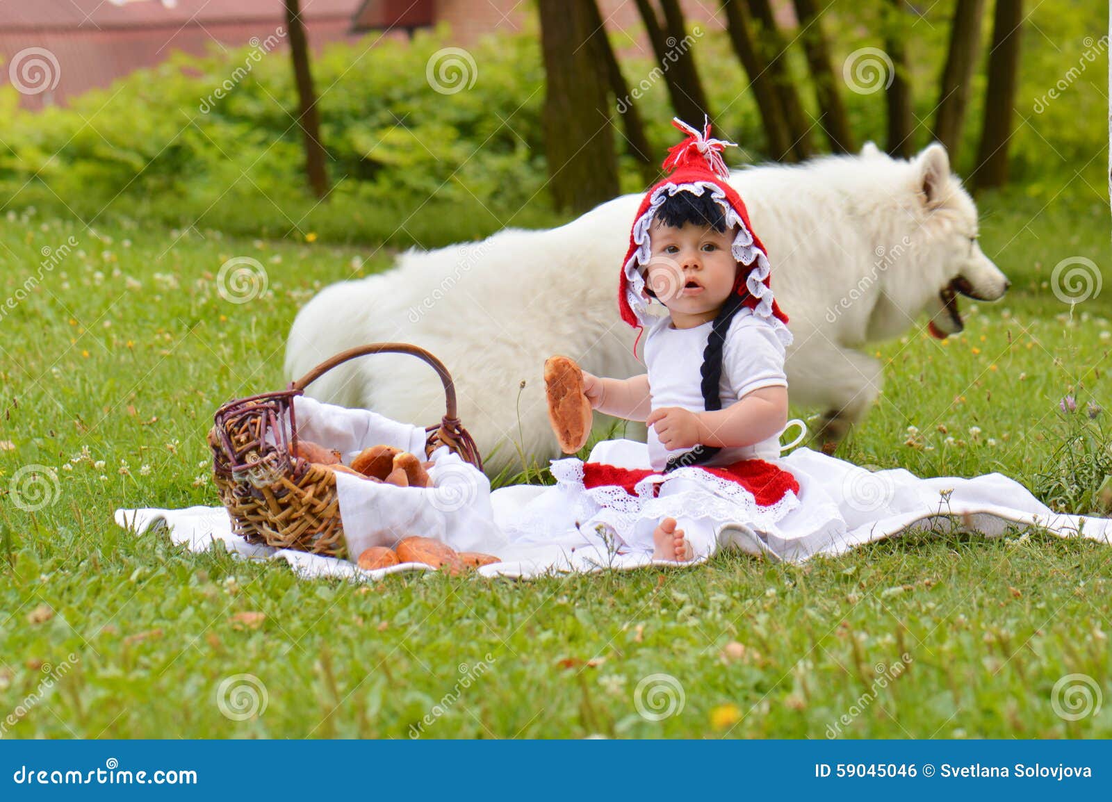 Rode Berijdende Kap En Witte Wolf Stock Foto - Image of wolf, koekjes ...