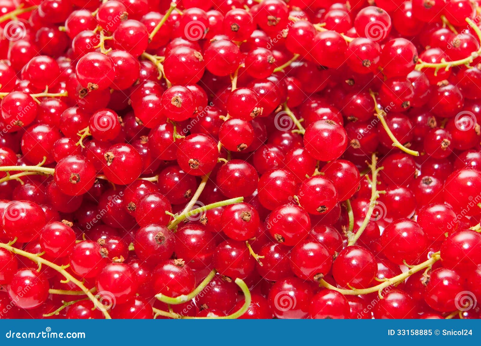 Rode bessen stock afbeelding. Image of smakelijk, heerlijk - 33158885