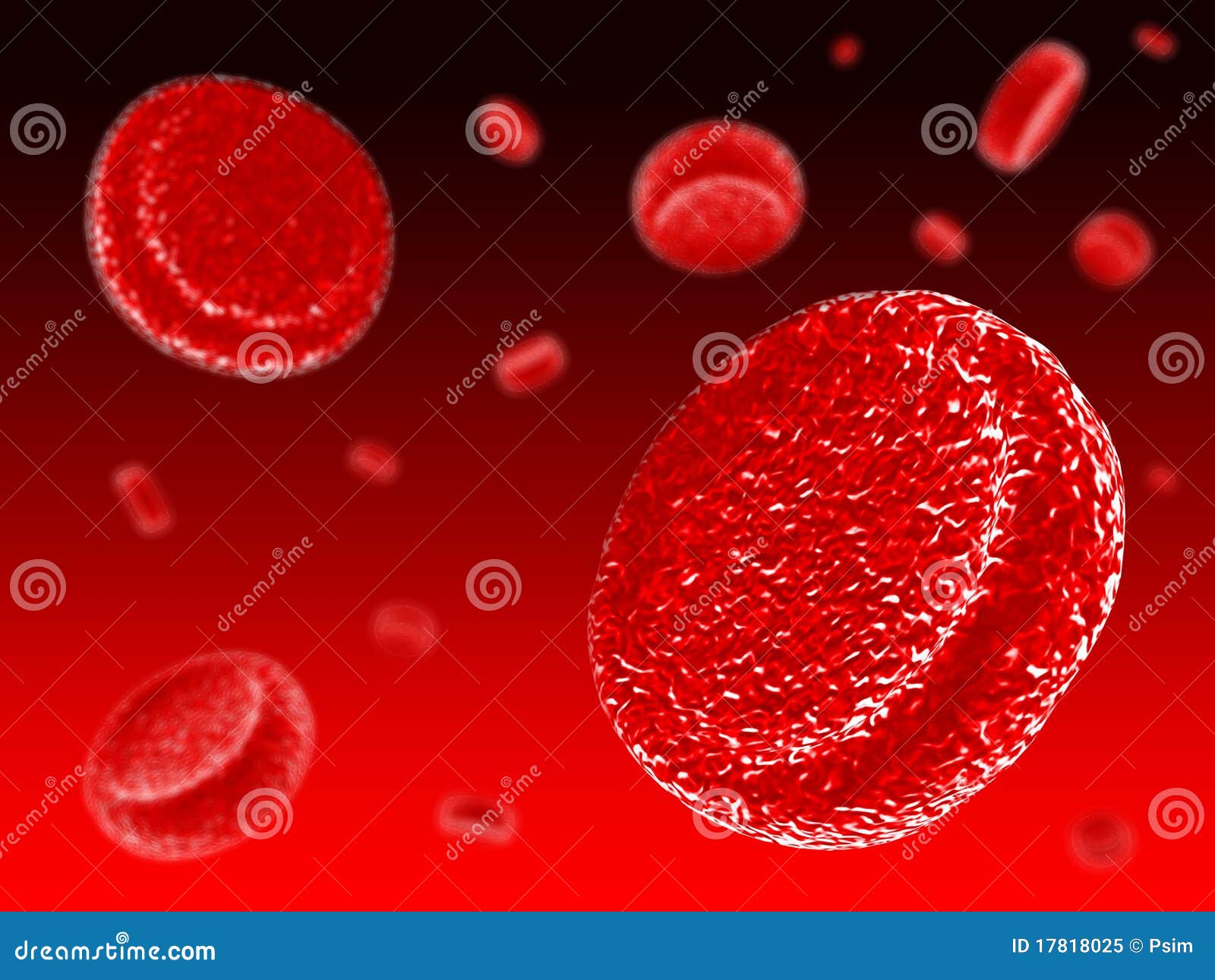 Rode bloedcel stock illustratie. Illustration of cellen - 17818025