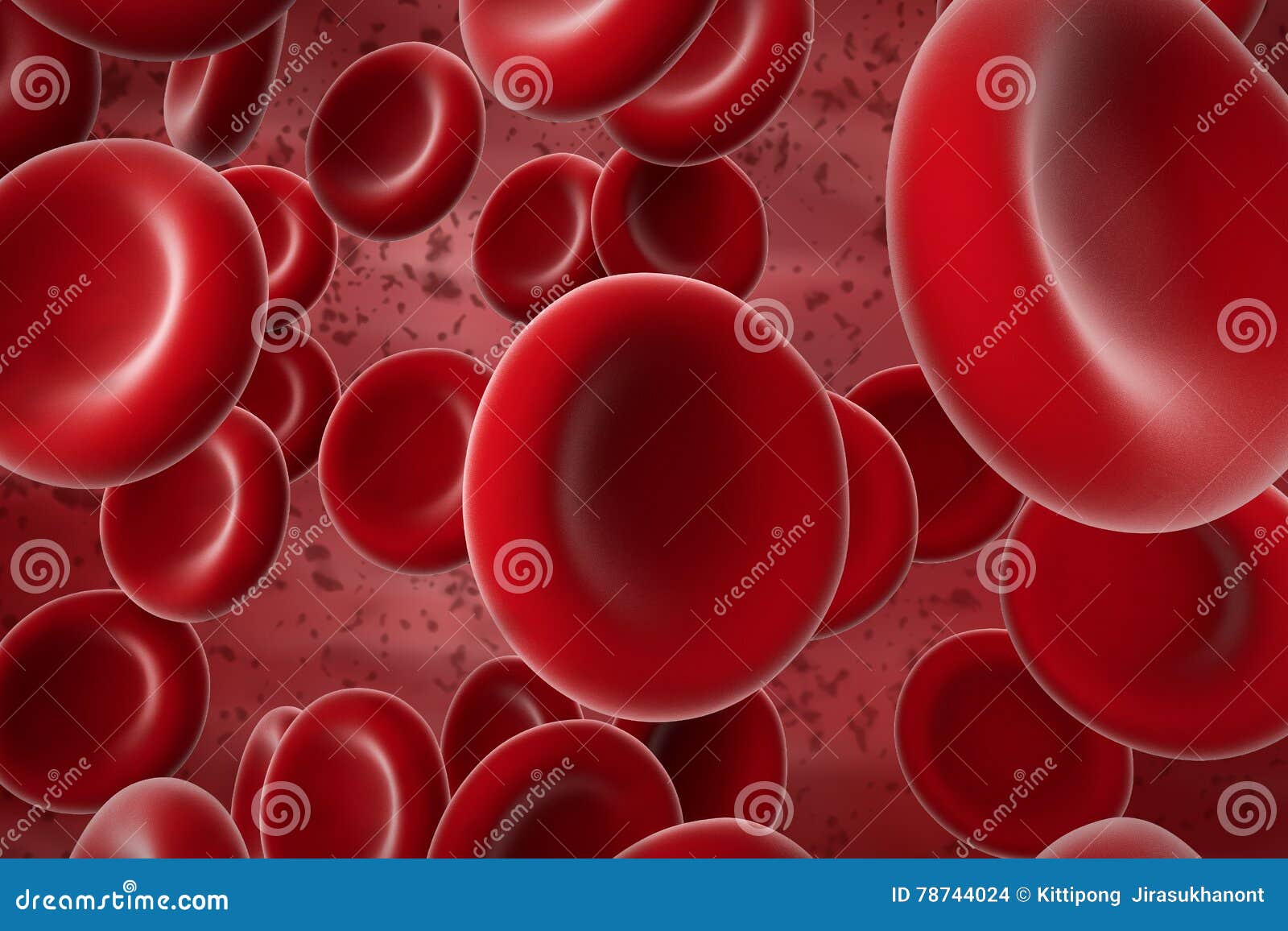 Rode bloedcellen stock illustratie. Illustration of lichaam - 78744024
