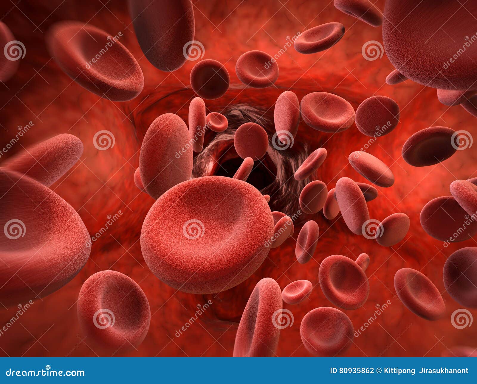 Rode bloedcellen in ader stock foto. Image of hemoglobine - 80935862