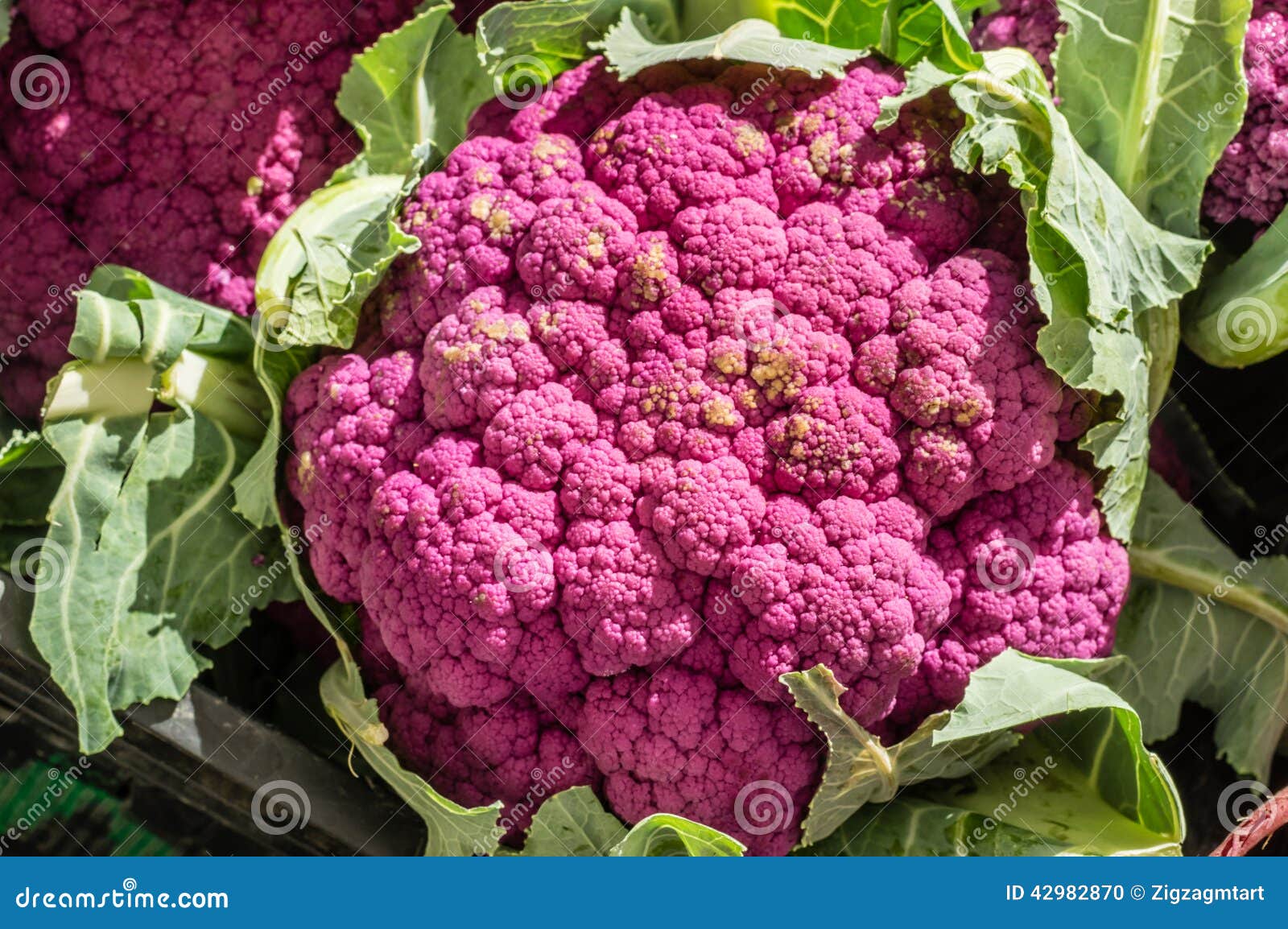 Rode Bloemkool Op Vertoning Bij De Markt Stock Foto - Image of ...