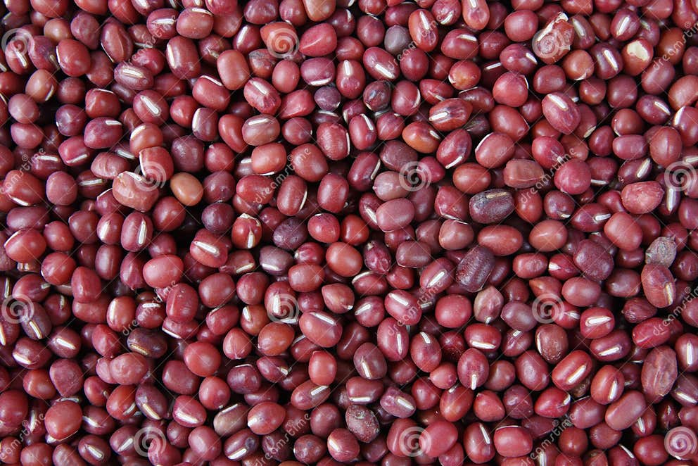 Rode bonen stock foto. Image of diëet, cultuur, seizoen - 14693934