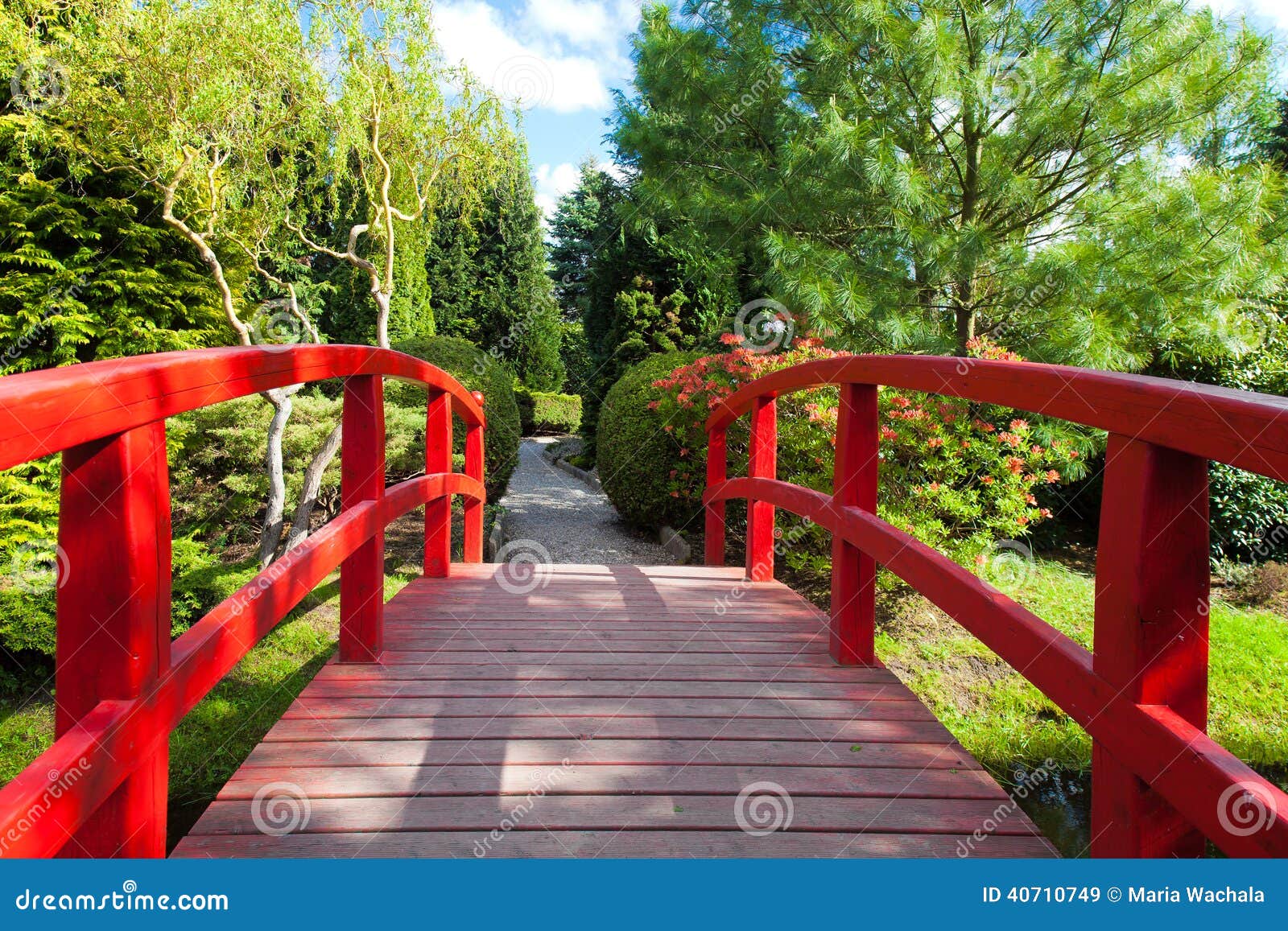 Rode Brug Bij De Japanse Tuin Stock Afbeelding - Image of flora, tuin ...