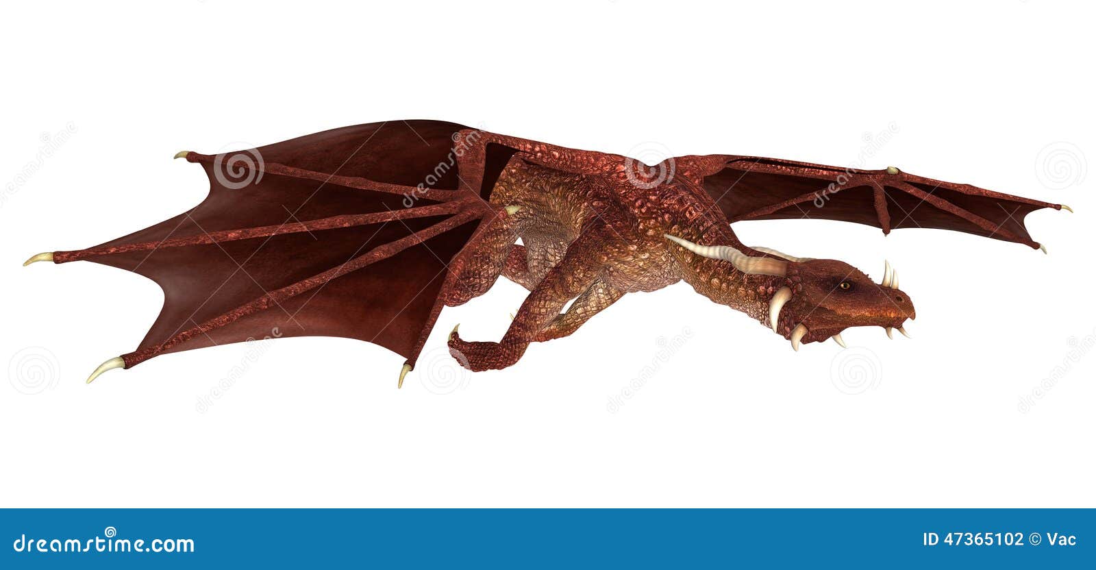 Rode draak stock illustratie. Illustration of geïsoleerd - 47365102