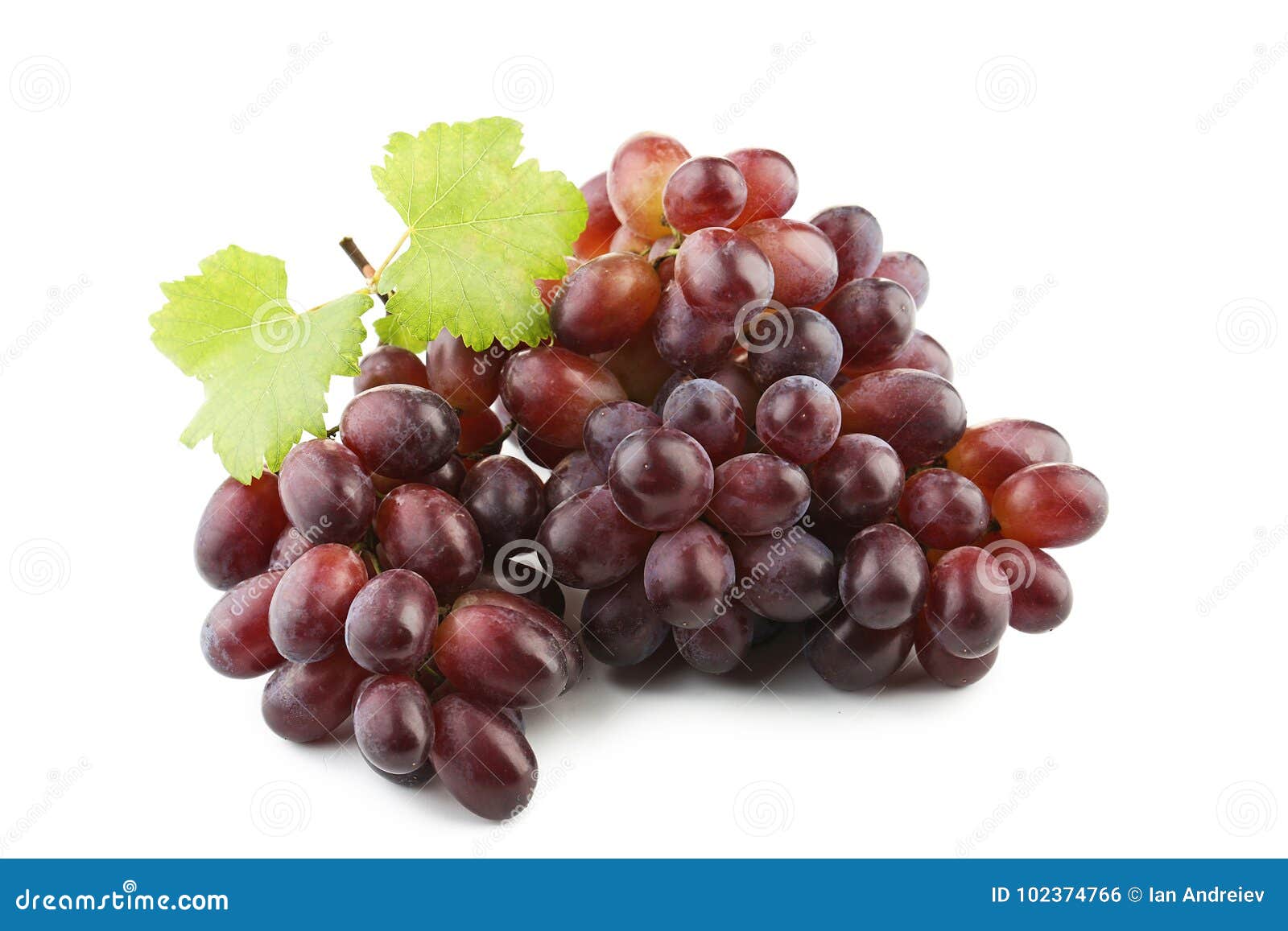 Rode druif stock foto. Image of najaar, gezondheid, organisch - 102374766