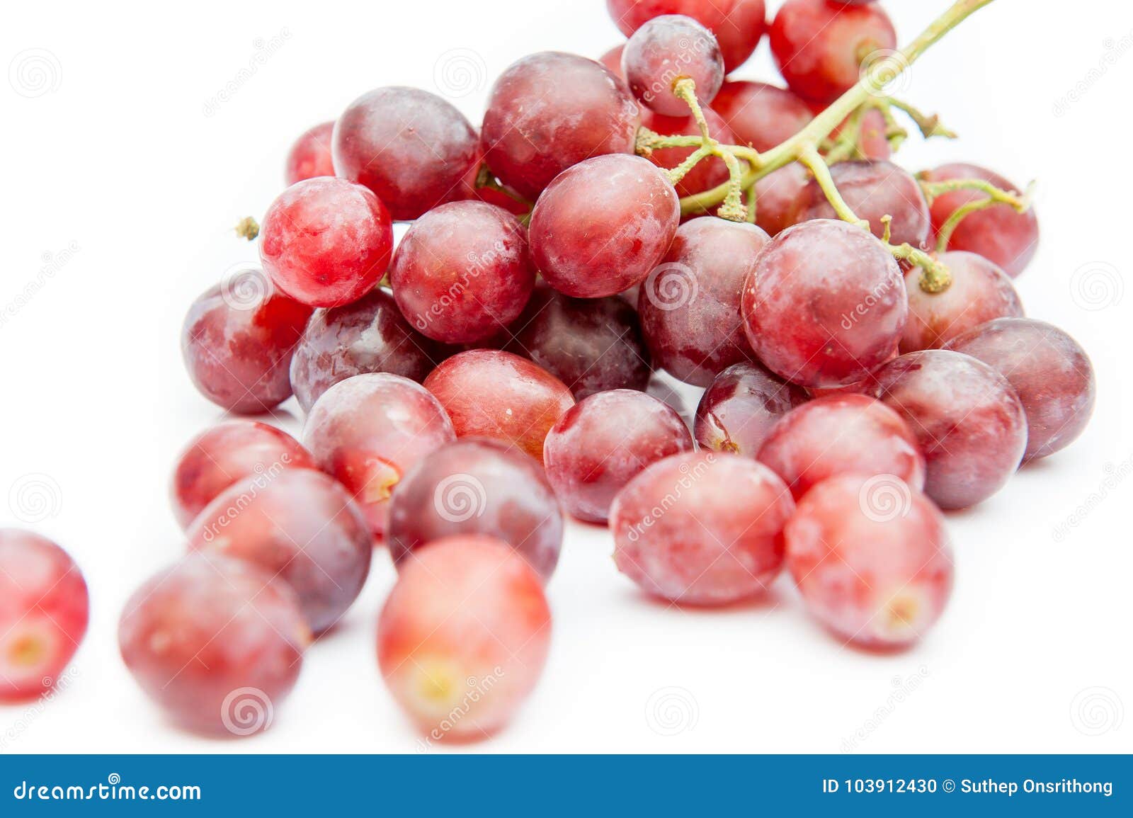 Rode druif stock foto. Image of sluit, voeding, roze - 103912430