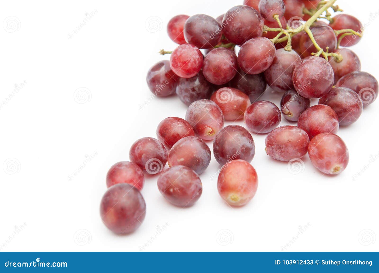 Rode druif stock afbeelding. Image of vrucht, oogst - 103912433