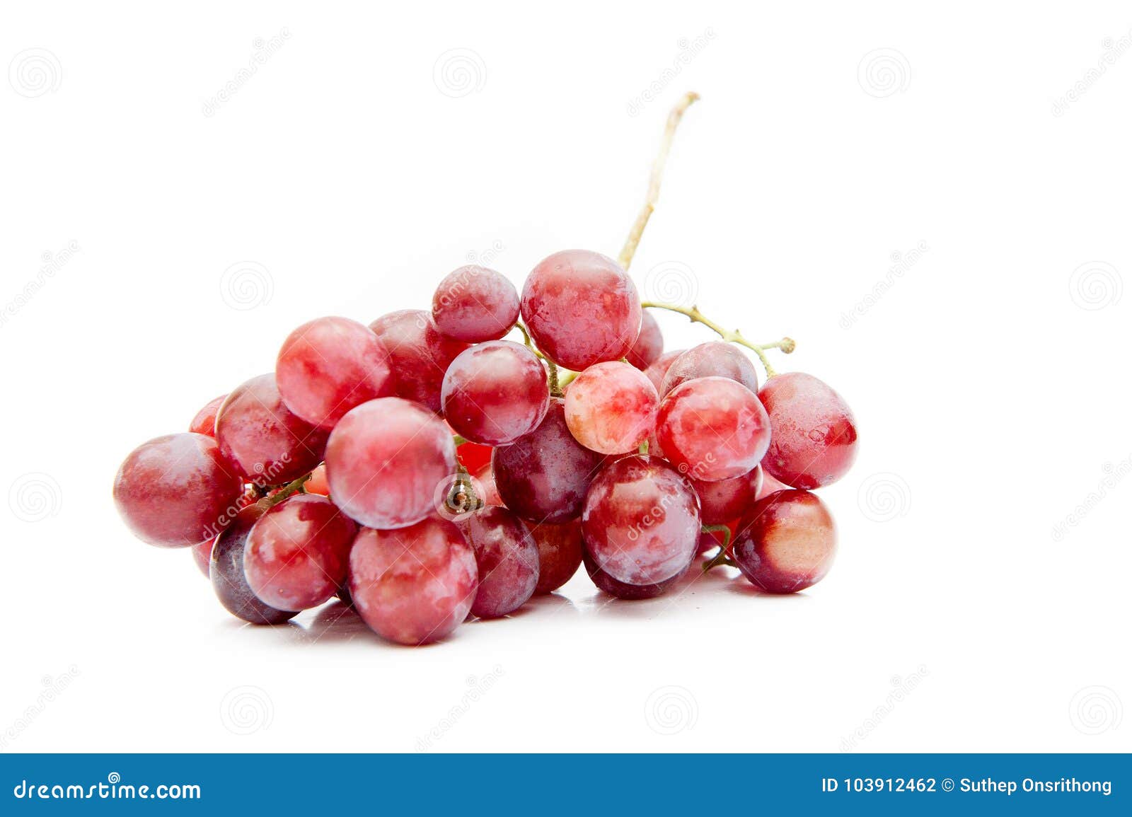 Rode druif stock foto. Image of purper, nagerecht, oogst - 103912462