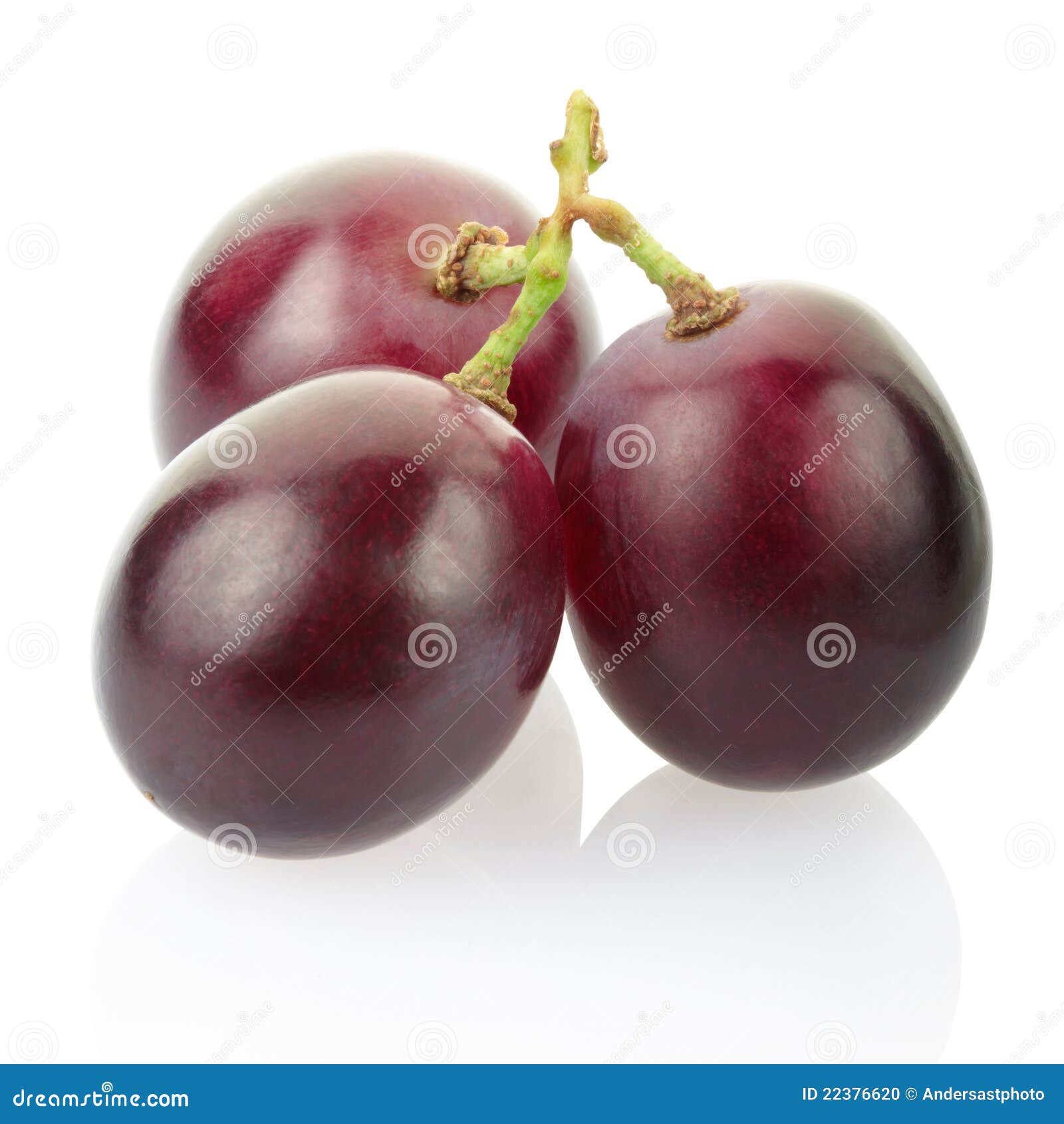 Rode druif stock foto. Image of rood, knippen, organisch - 22376620