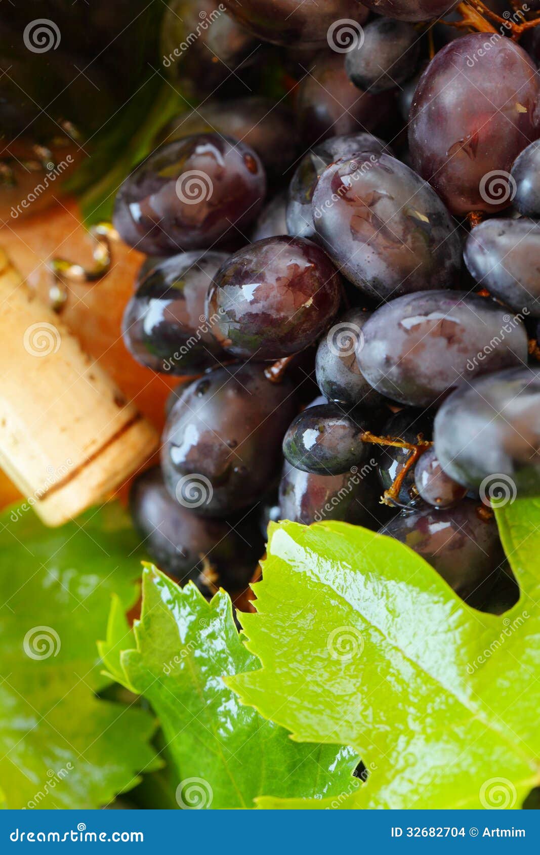 Rode druif en blad, macro stock foto. Image of alcohol - 32682704