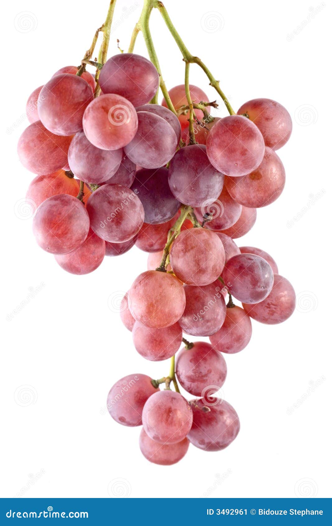 Rode druif op wit stock afbeelding. Image of industrie - 3492961