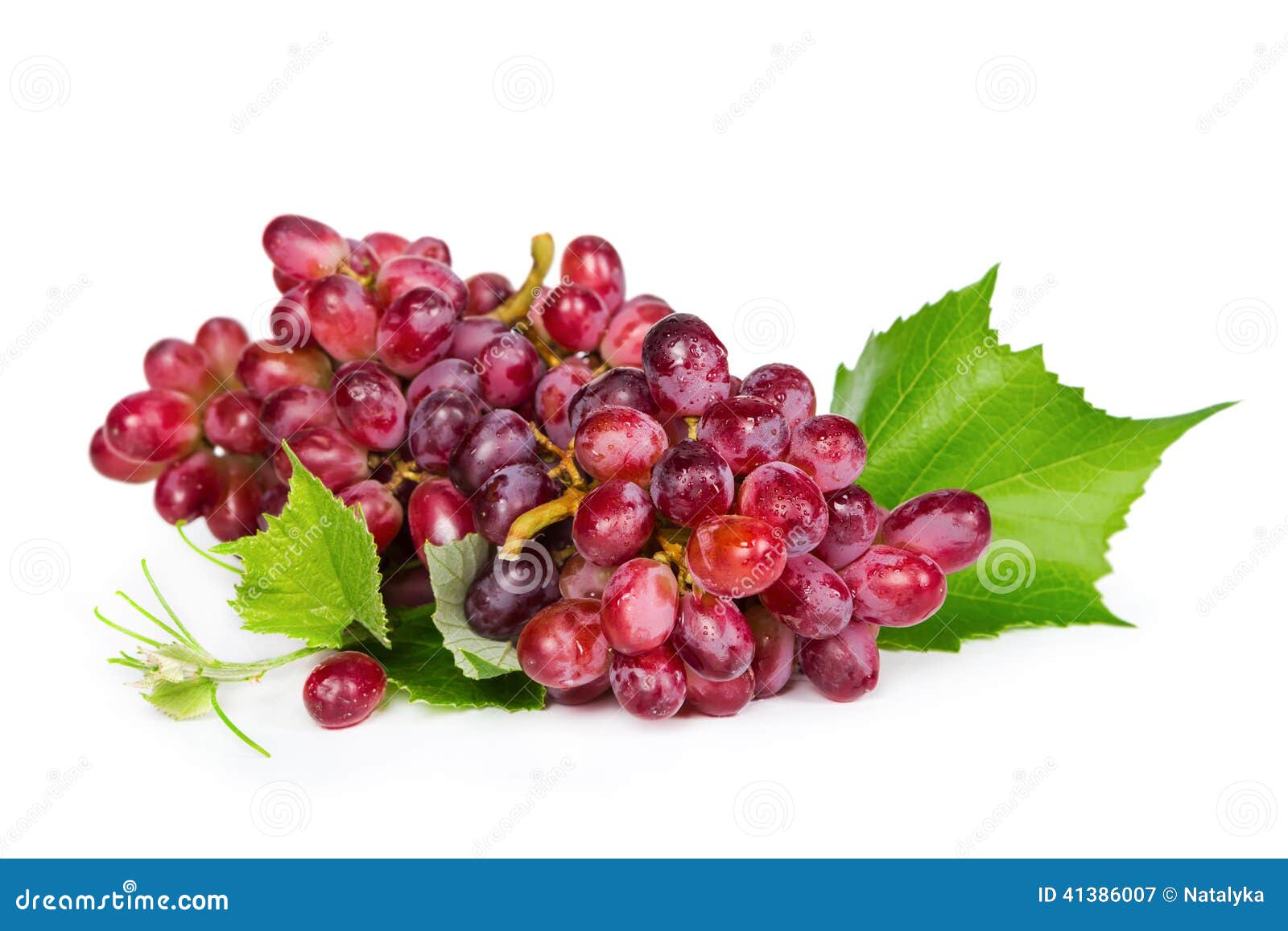 Rode Druiven met bladeren stock afbeelding. Image of druif - 41386007