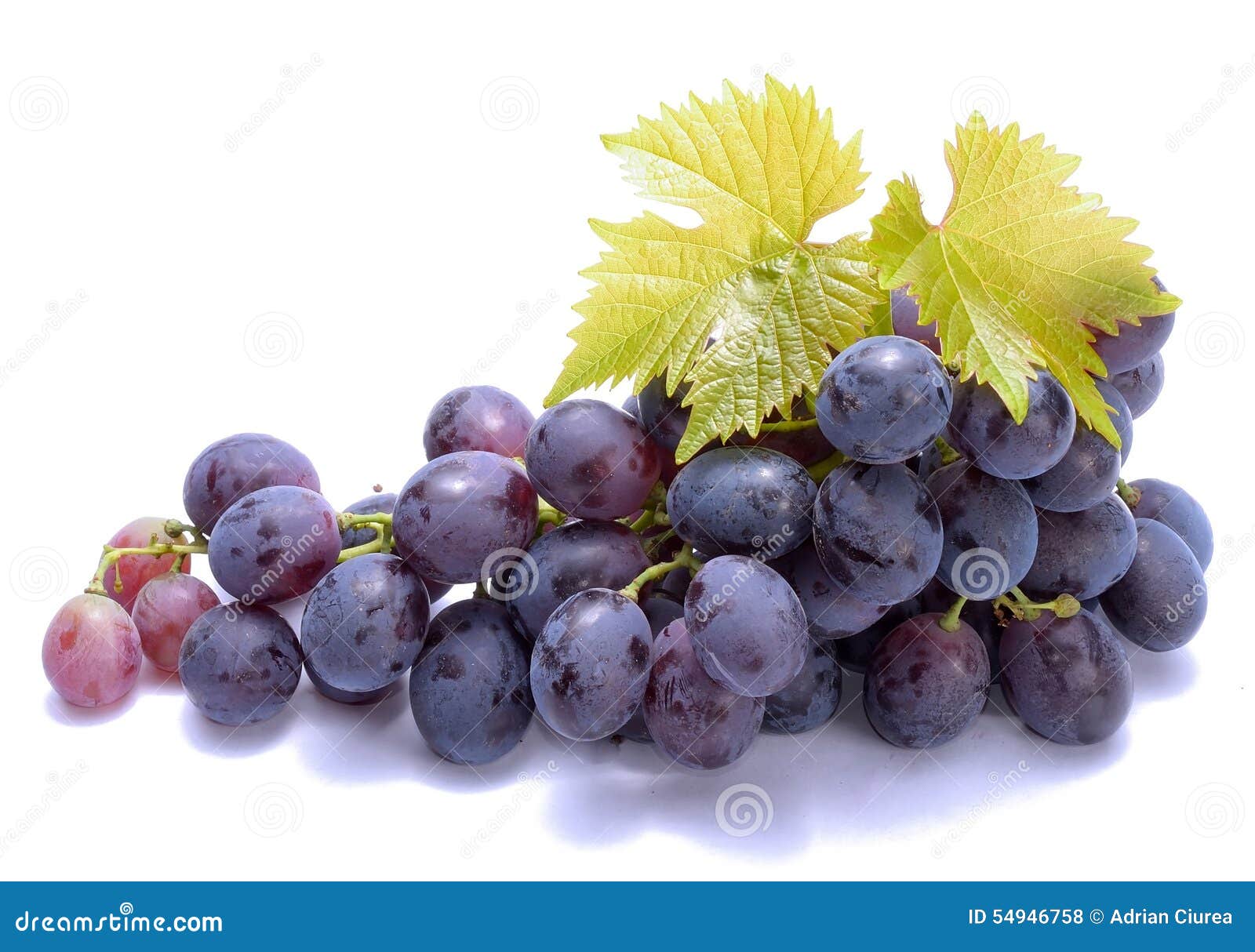 Rode Druiven Met Bladeren Op Witte Achtergrond Stock Foto - Image of ...