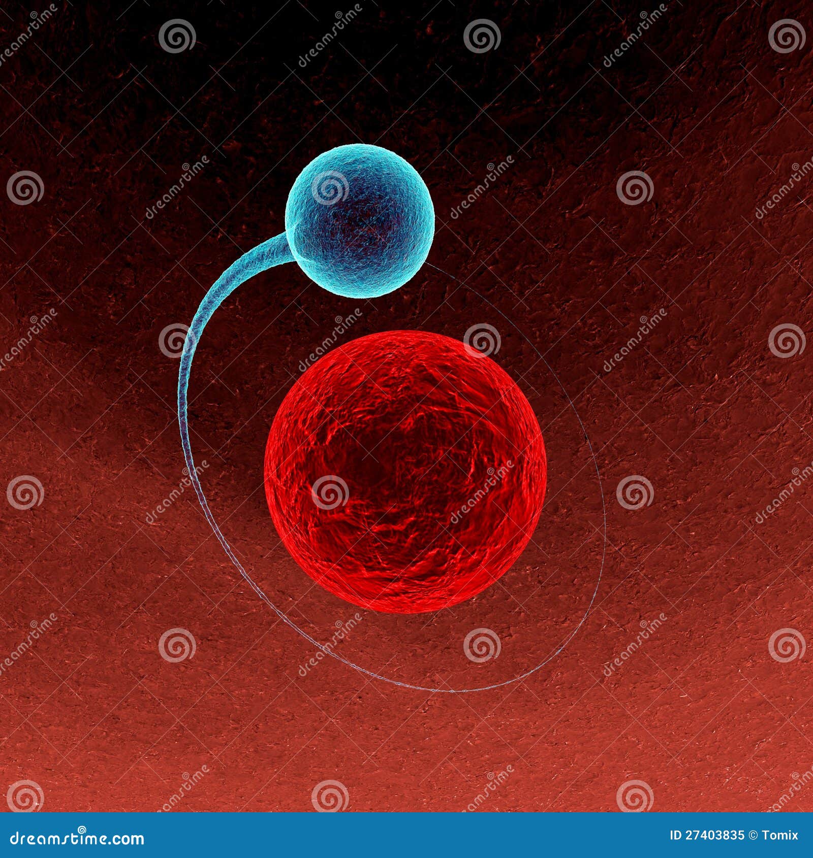 Rode en blauwe cellen stock illustratie. Illustration of blauw - 27403835