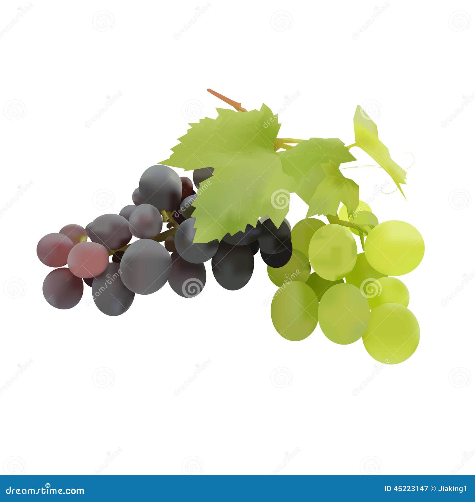 Rode en groene druif vector illustratie. Illustration of druif - 45223147