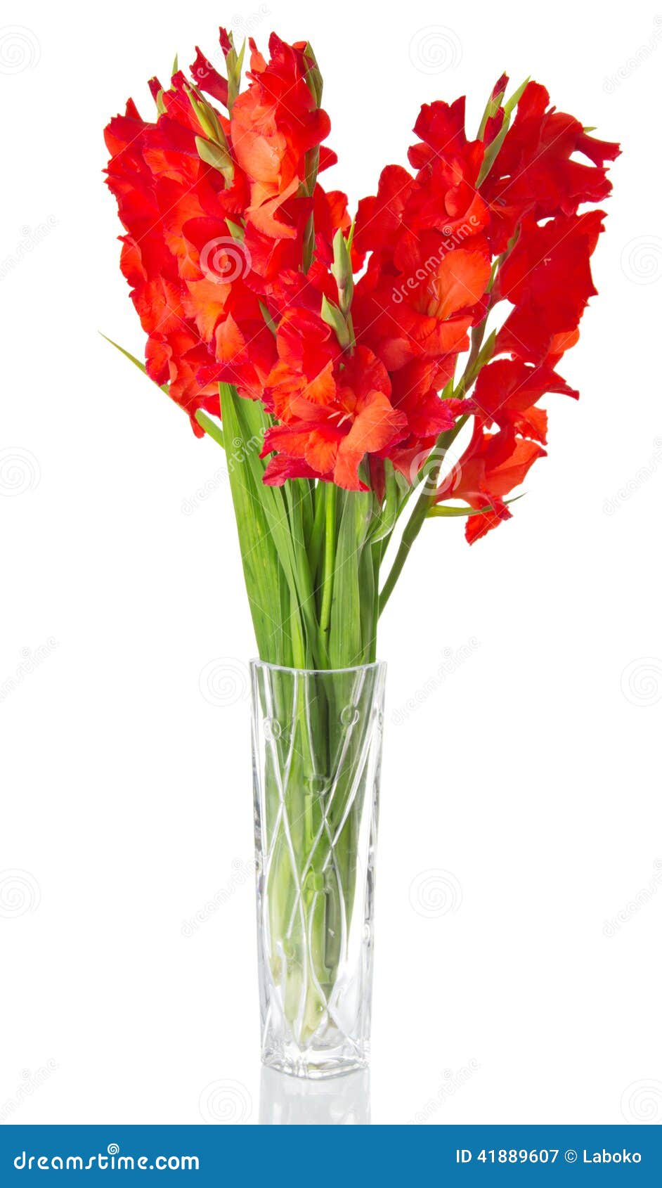 Rode gladiolen in vaas stock afbeelding. Image of blad - 41889607