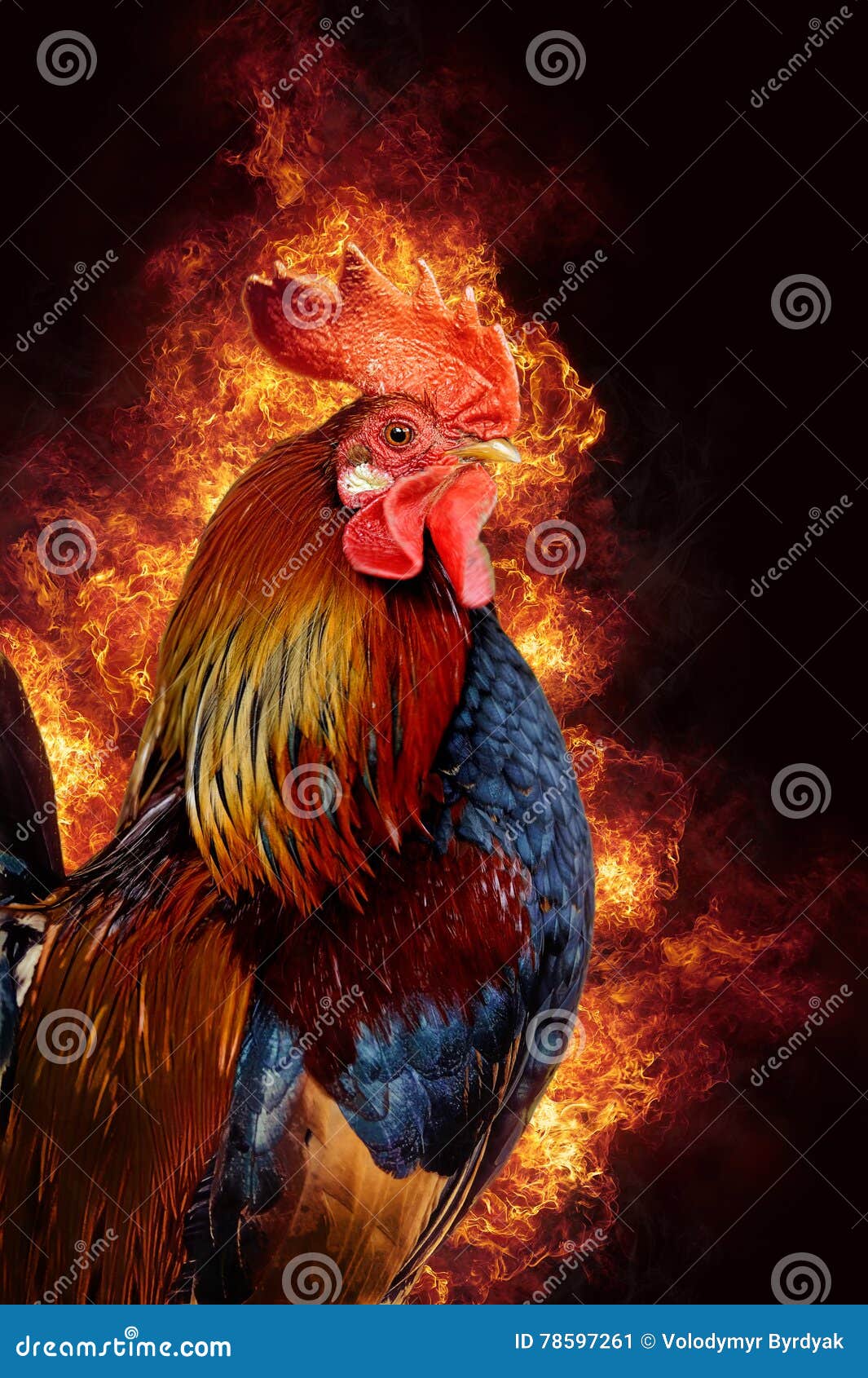 Rode haan in vlam stock afbeelding. Image of chinees - 78597261