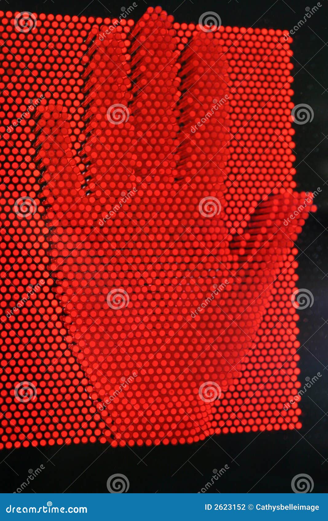 Rode Hand Picture. Image: 2623152