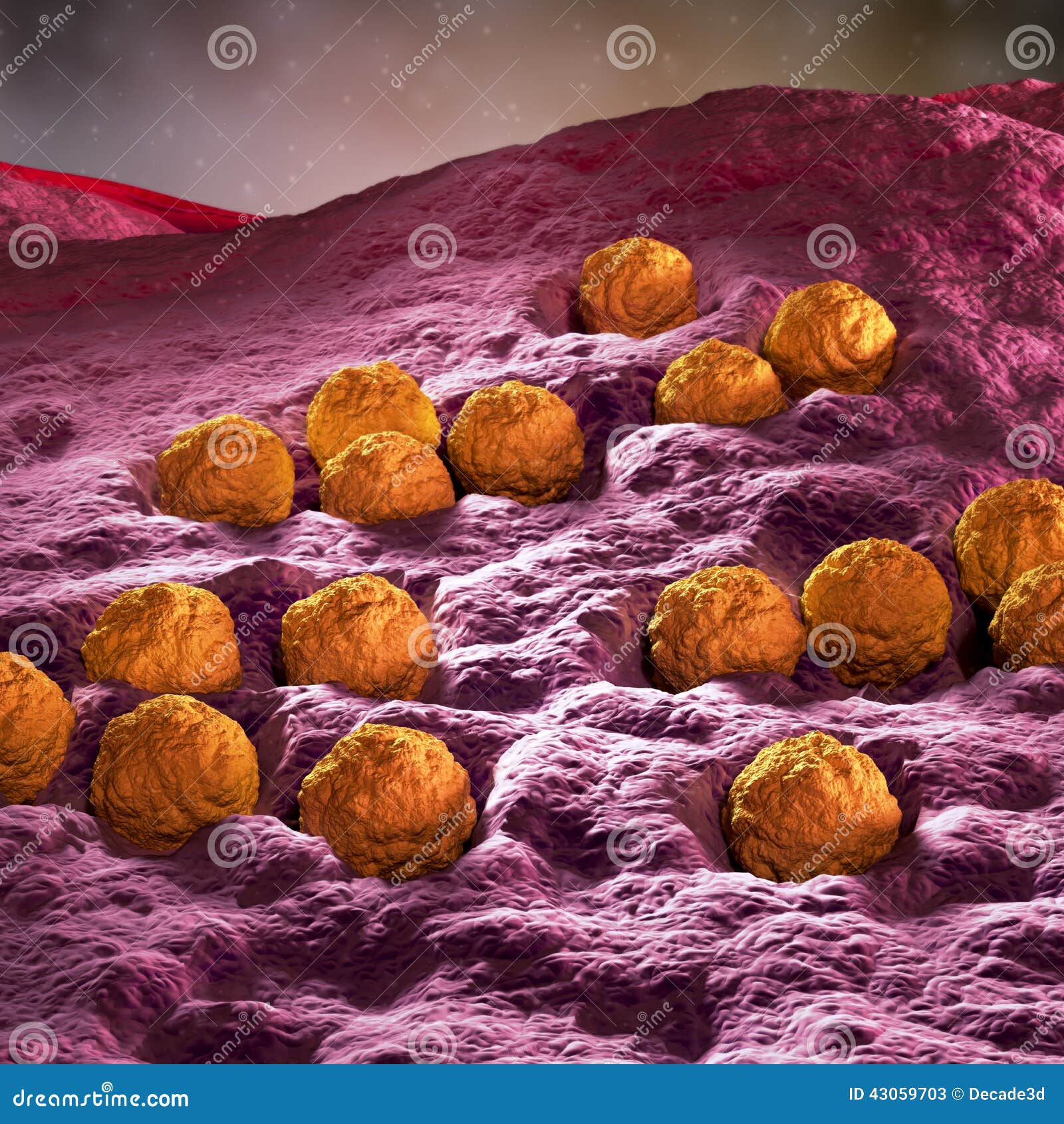 Rode hond - Rodehond stock afbeelding. Image of zorg - 43059703