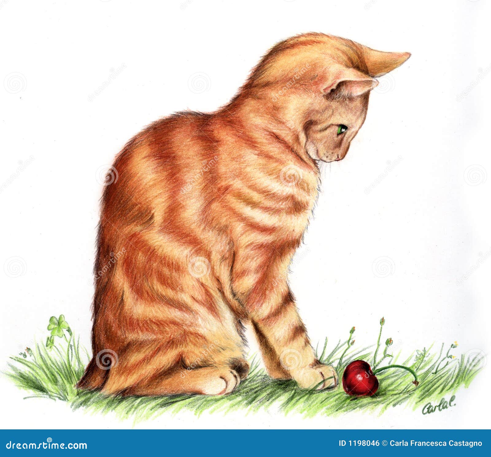 Rode kat stock illustratie. Illustration of katten, keuken - 1198046