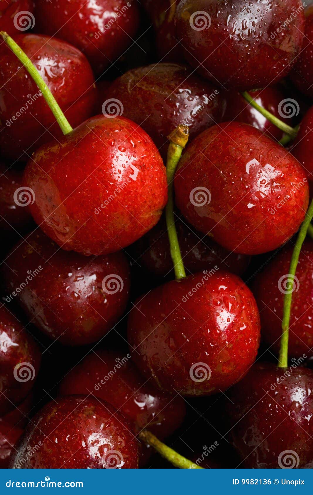 Rode kersen stock foto. Image of achtergronden, macro - 9982136