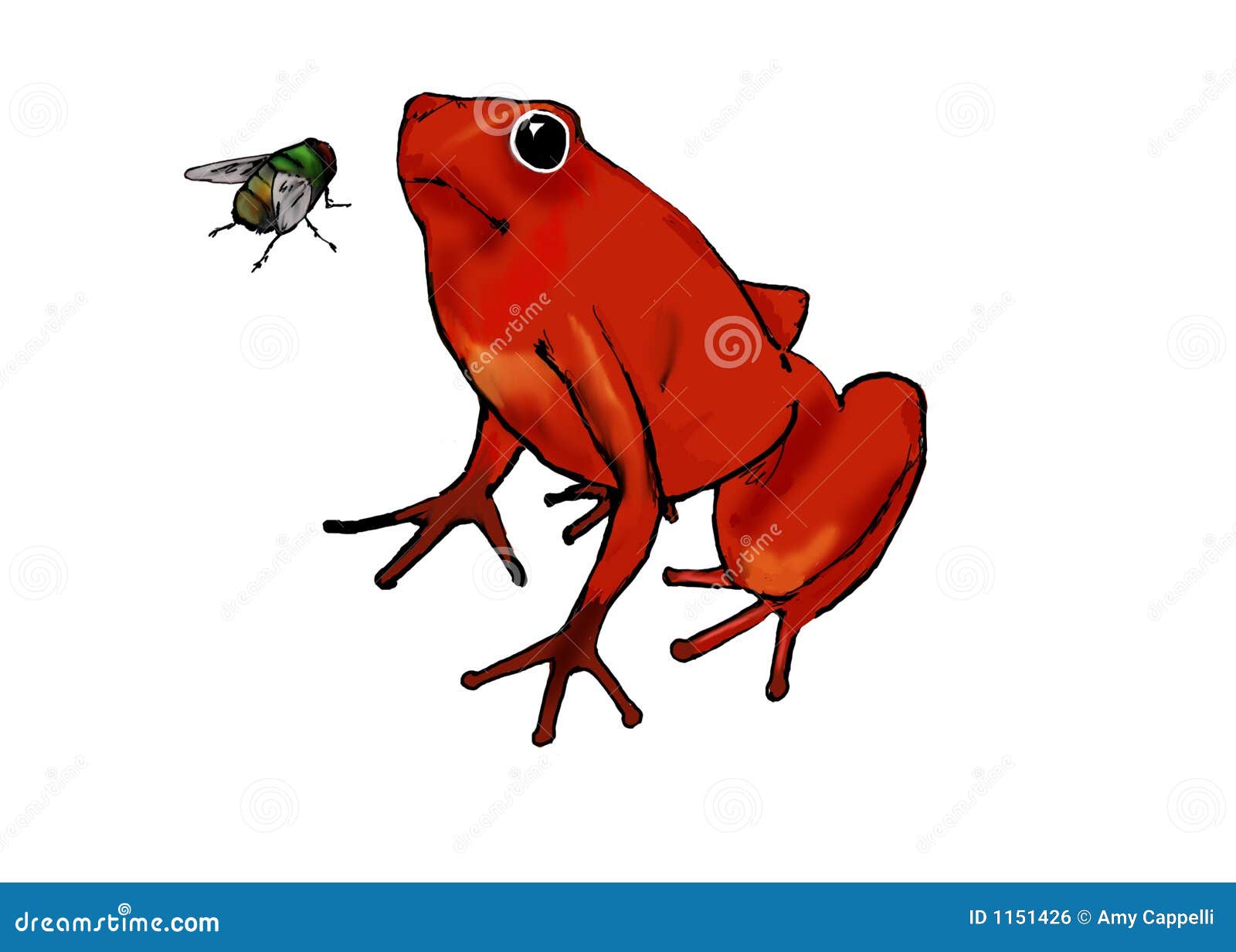 Rode kikker en vlieg stock illustratie. Illustration of nave - 1151426